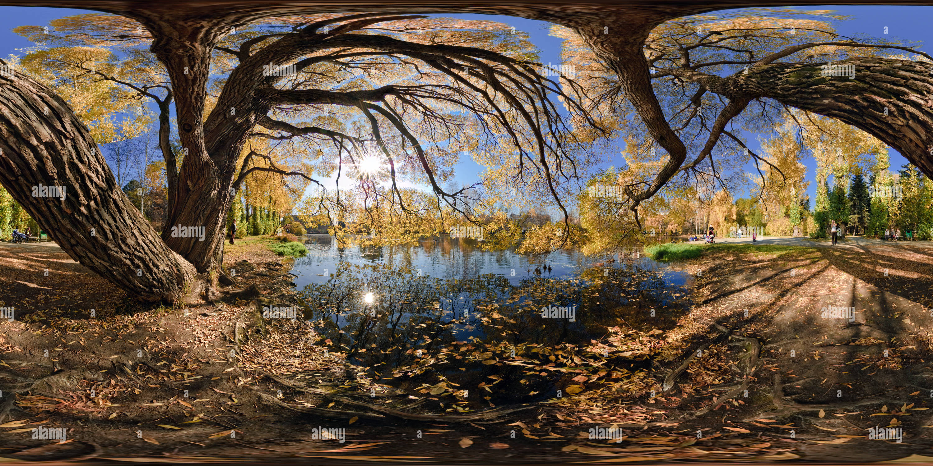 360° view of Autumn park 3 - Alamy