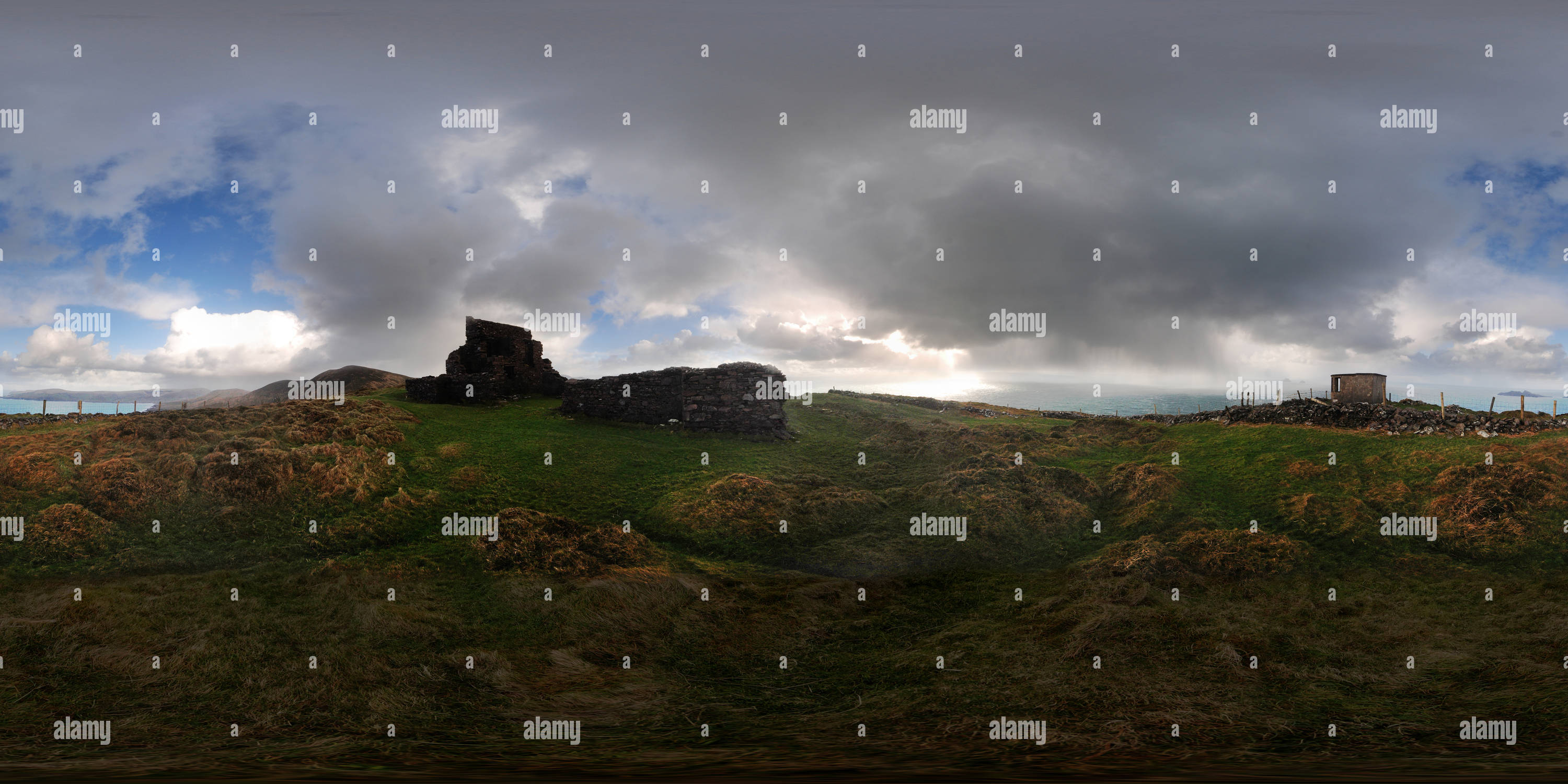 Bolus head hi-res stock photography and images - Alamy