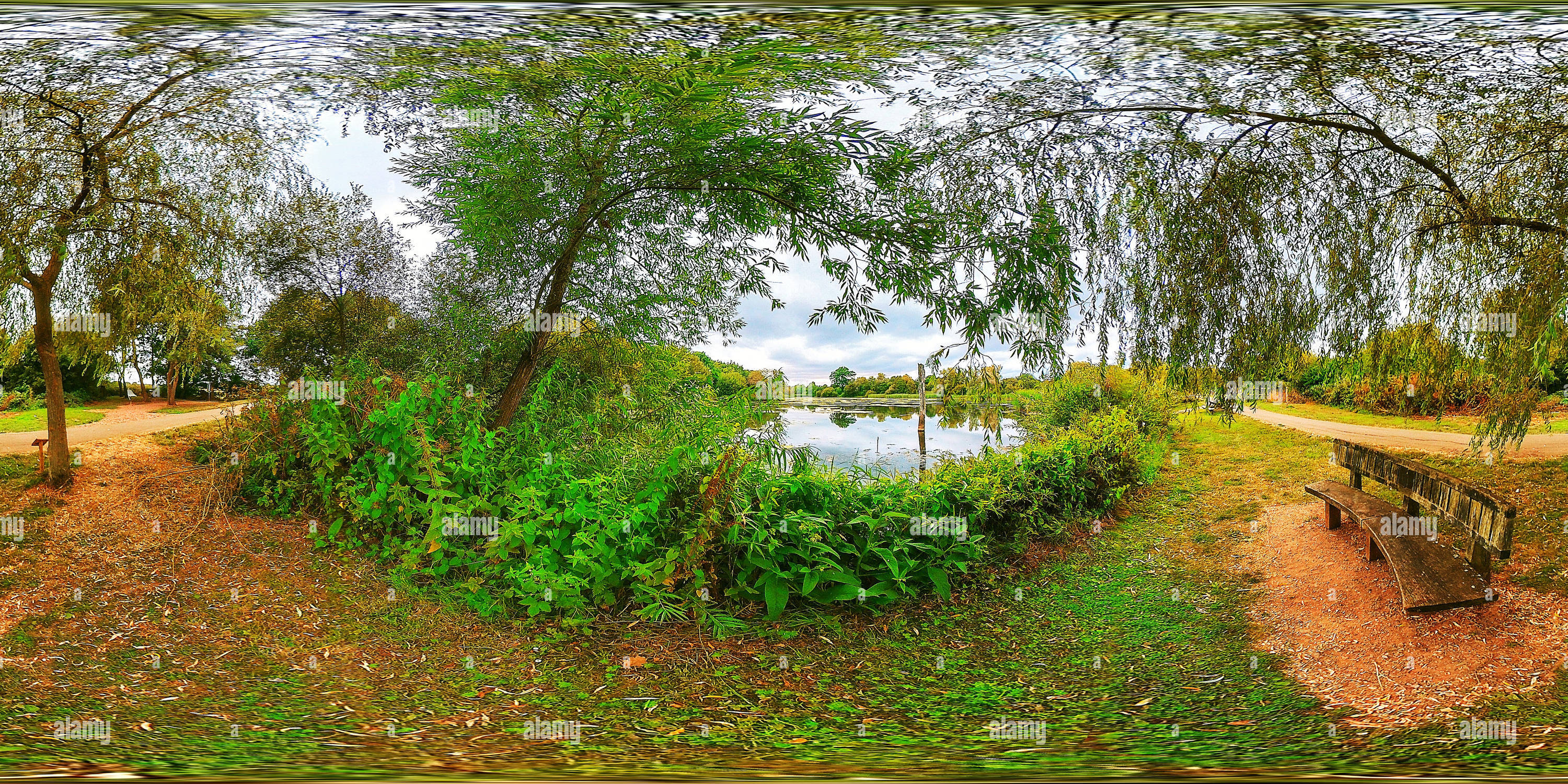 360° view of Under weeping willow tree at Lakeside in Moors Valley ...