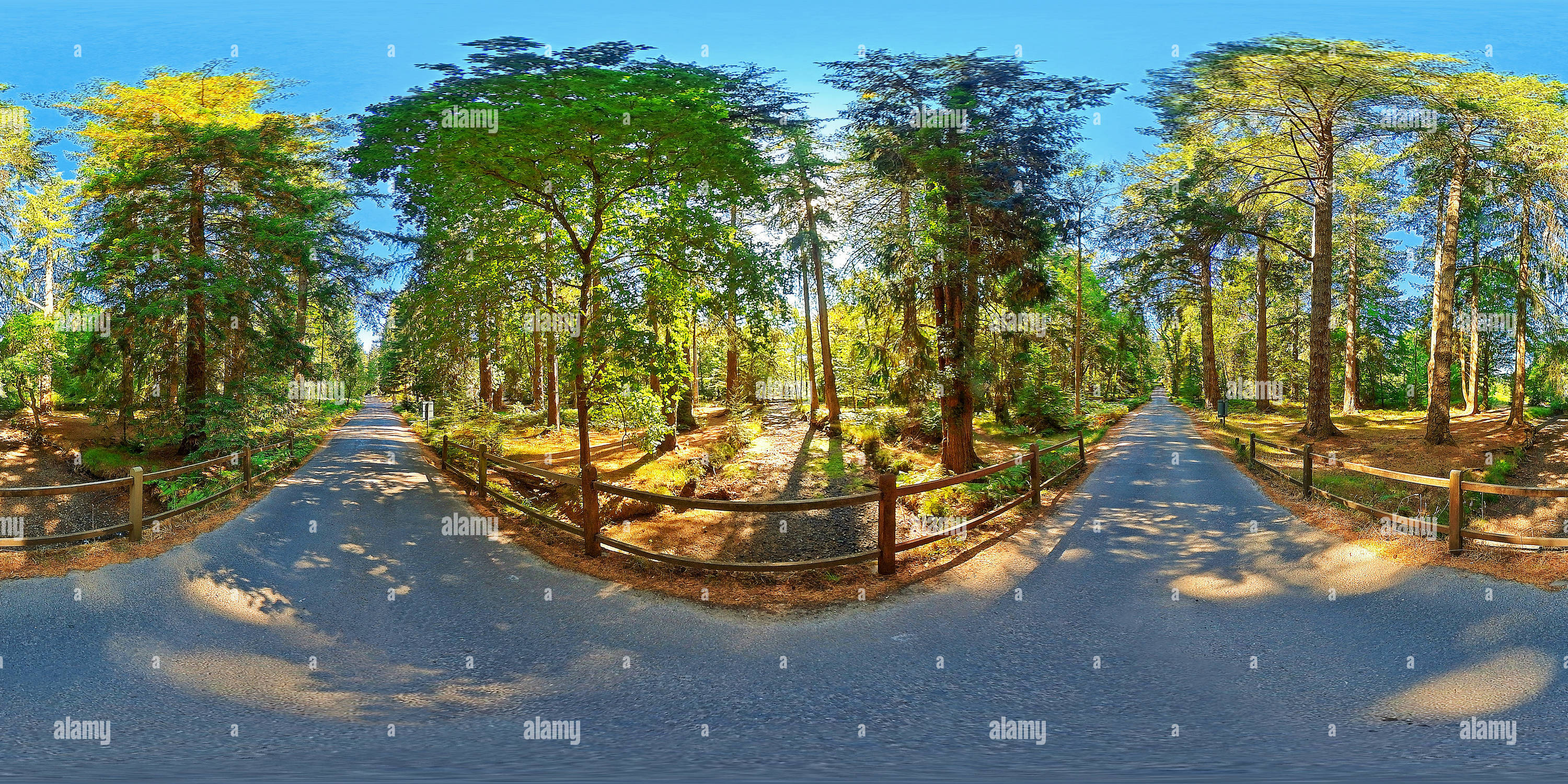 360° view of Rhinefield bridge over Blackwater dried up stream in a ...