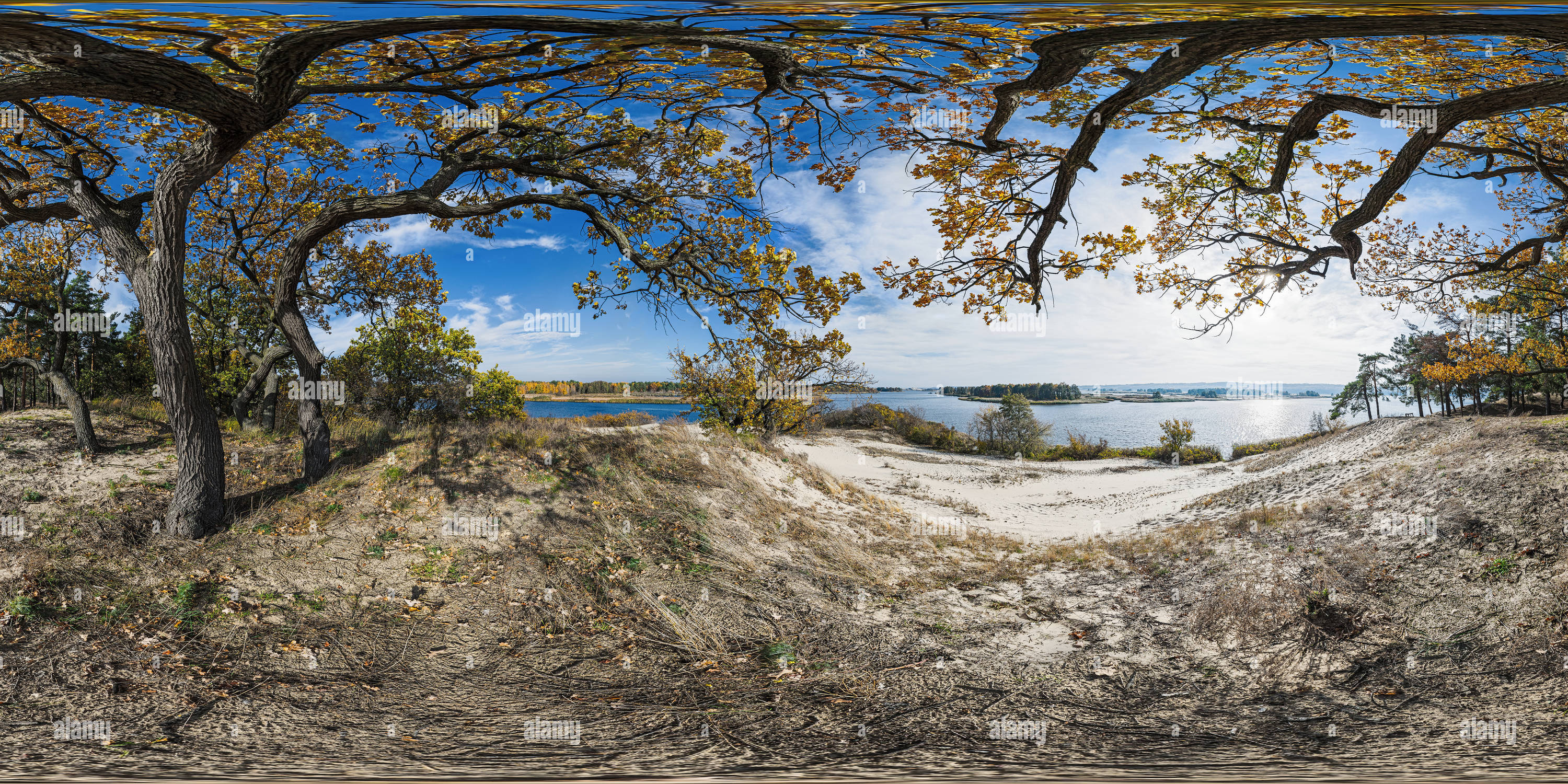 General 02 hi-res stock photography and images - Alamy
