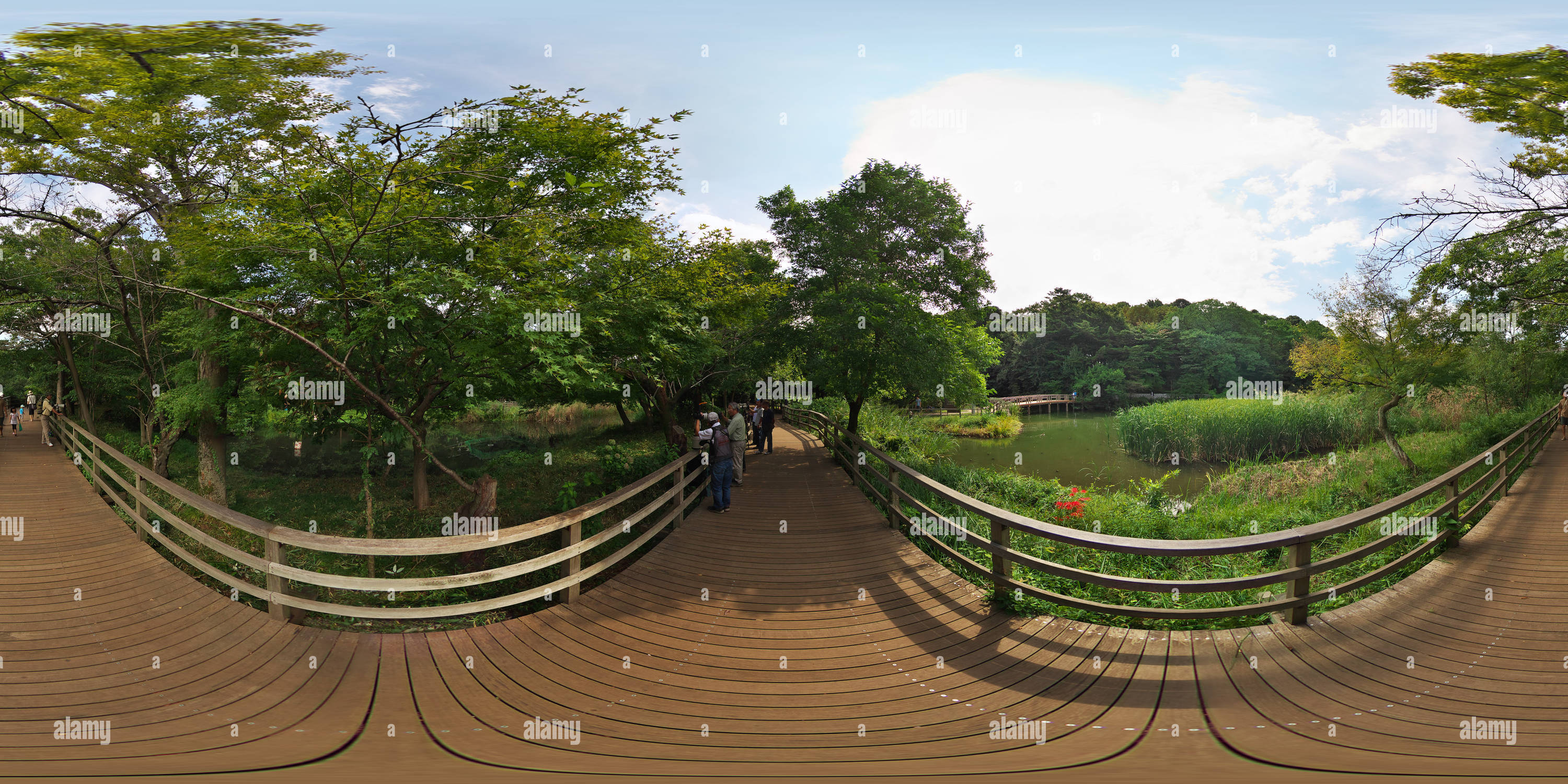 360° view of Waterside observation garden - Alamy