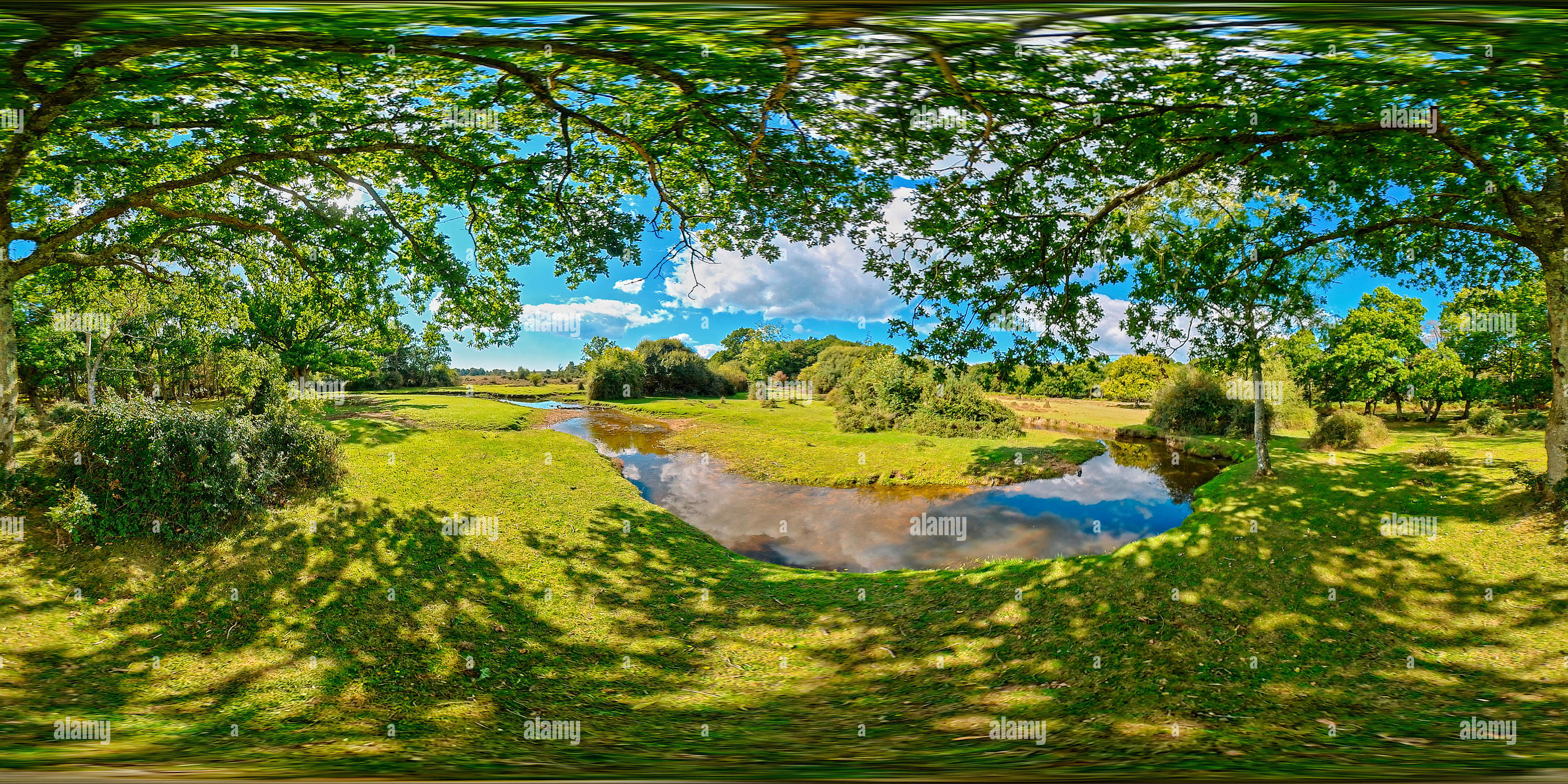 360° view of Mill Lawn Brook Stream in the summer of 2021 in the New ...