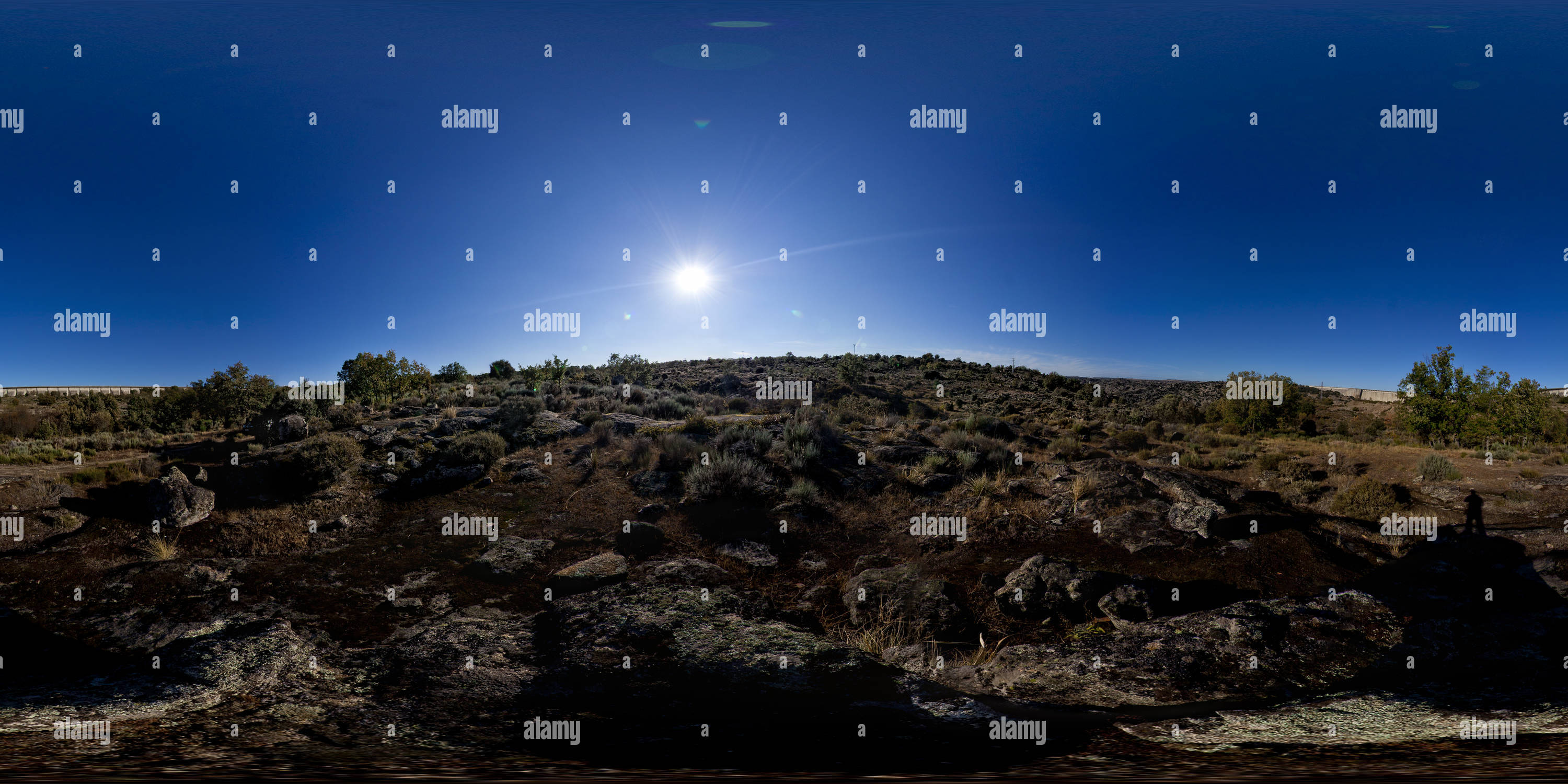 Presa de almendra hi-res stock photography and images - Alamy