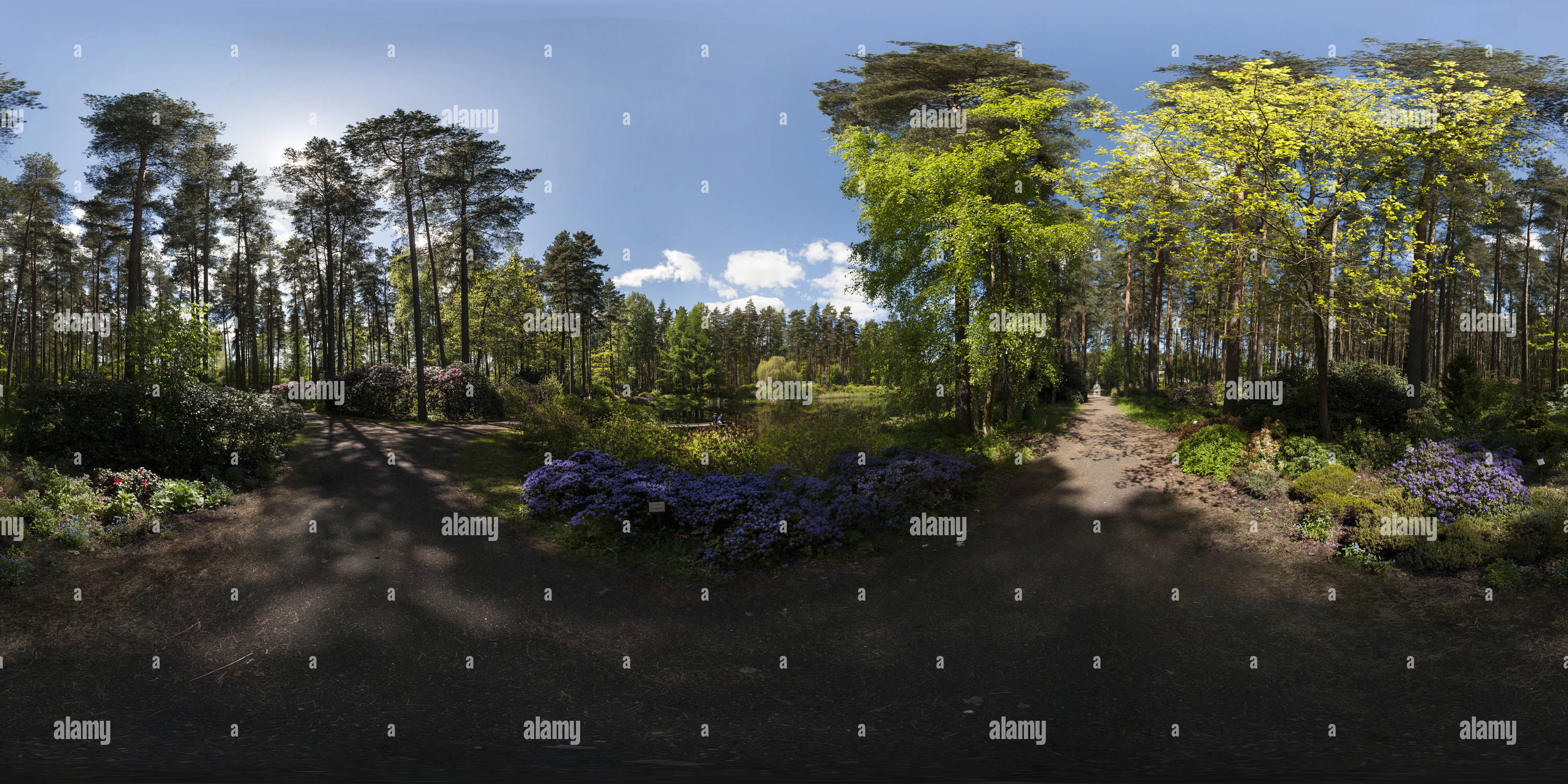 360° view of Nursery of Rhododendrons "Babite" (2 - Alamy