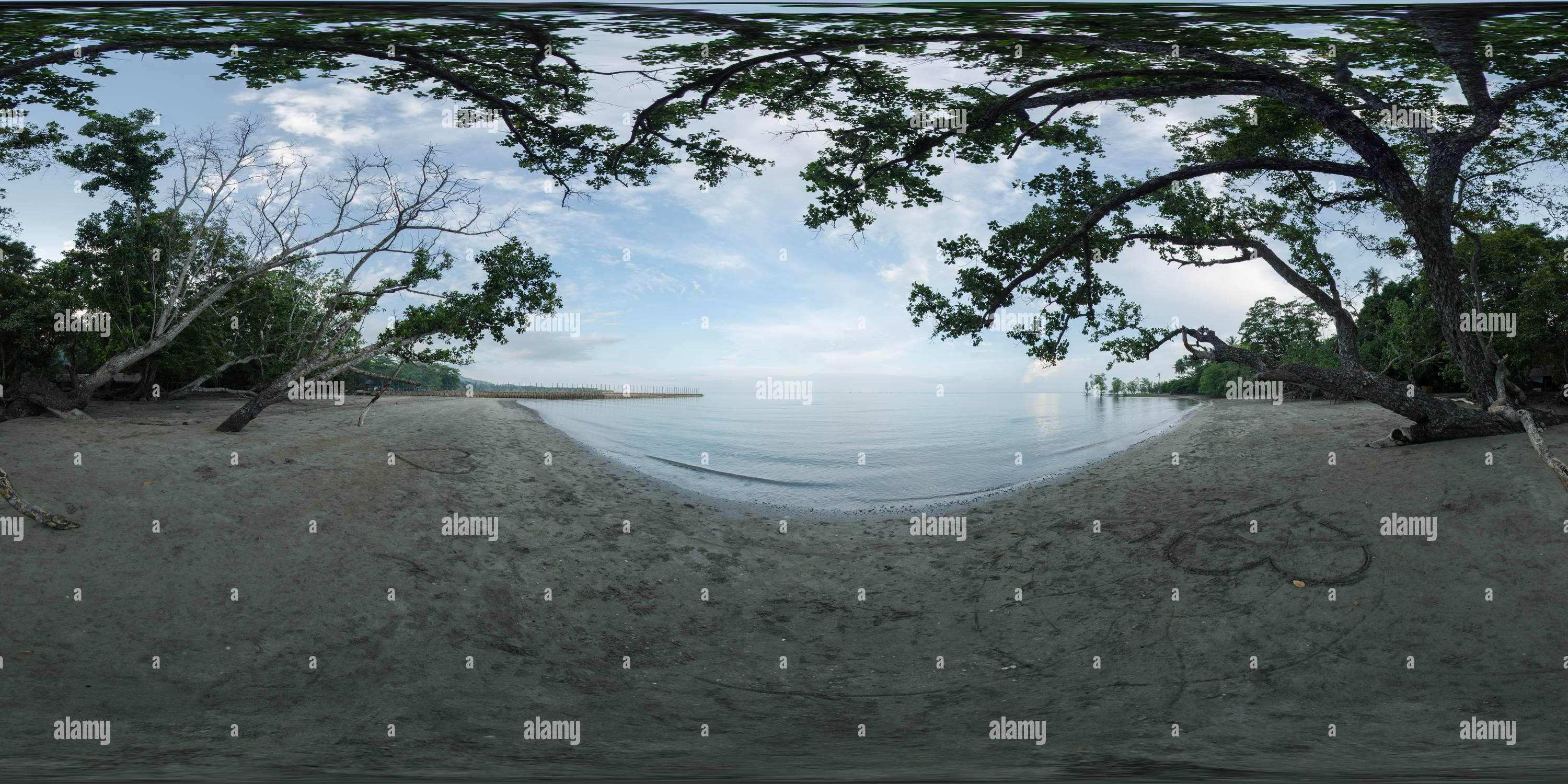 Sarang tiung hi-res stock photography and images - Alamy