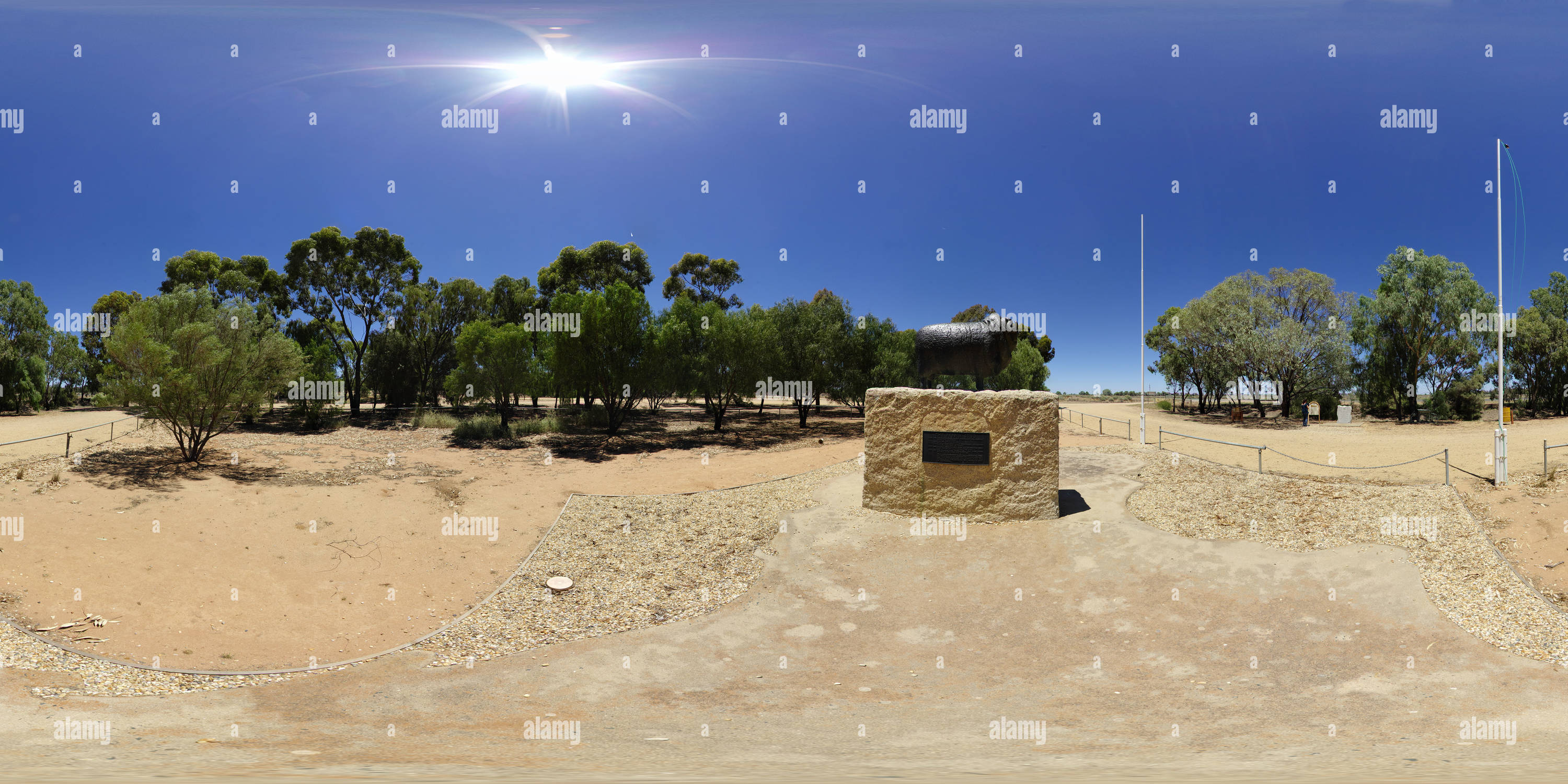 Stud merino hi-res stock photography and images - Alamy