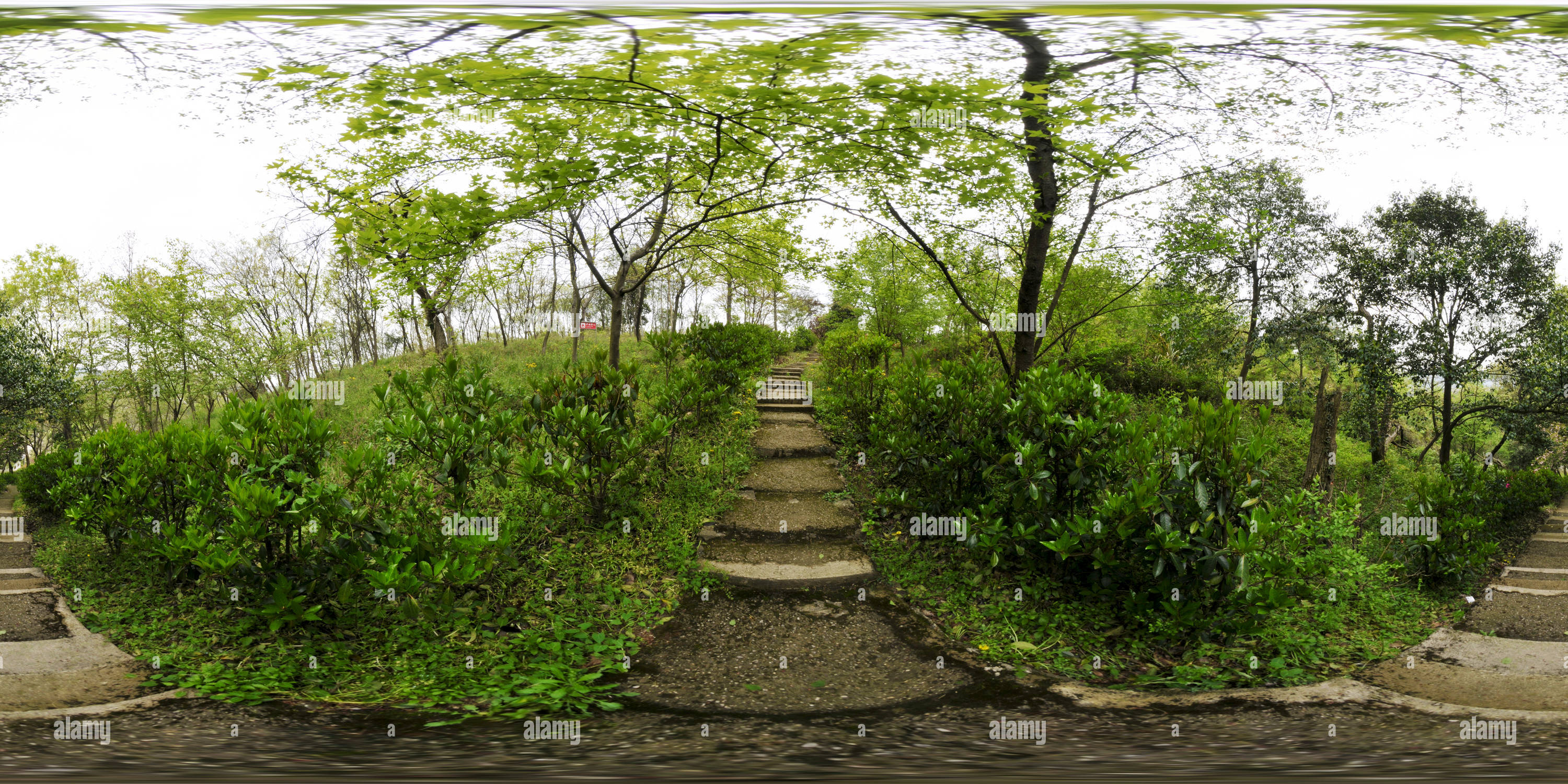 360° view of Tao Gu maze (235) 桃姑迷宫 - Alamy