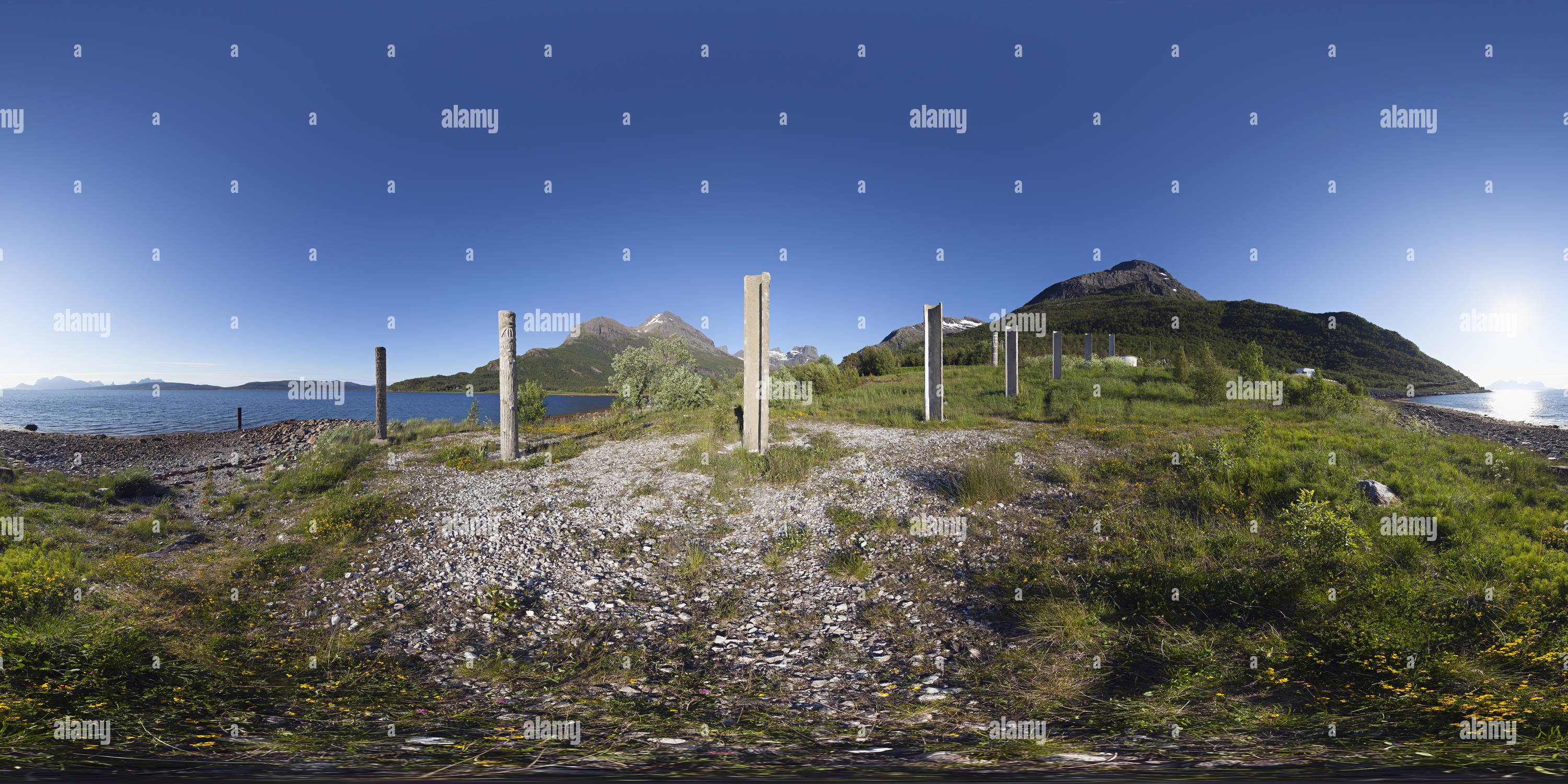 Calamites hi-res stock photography and images - Alamy