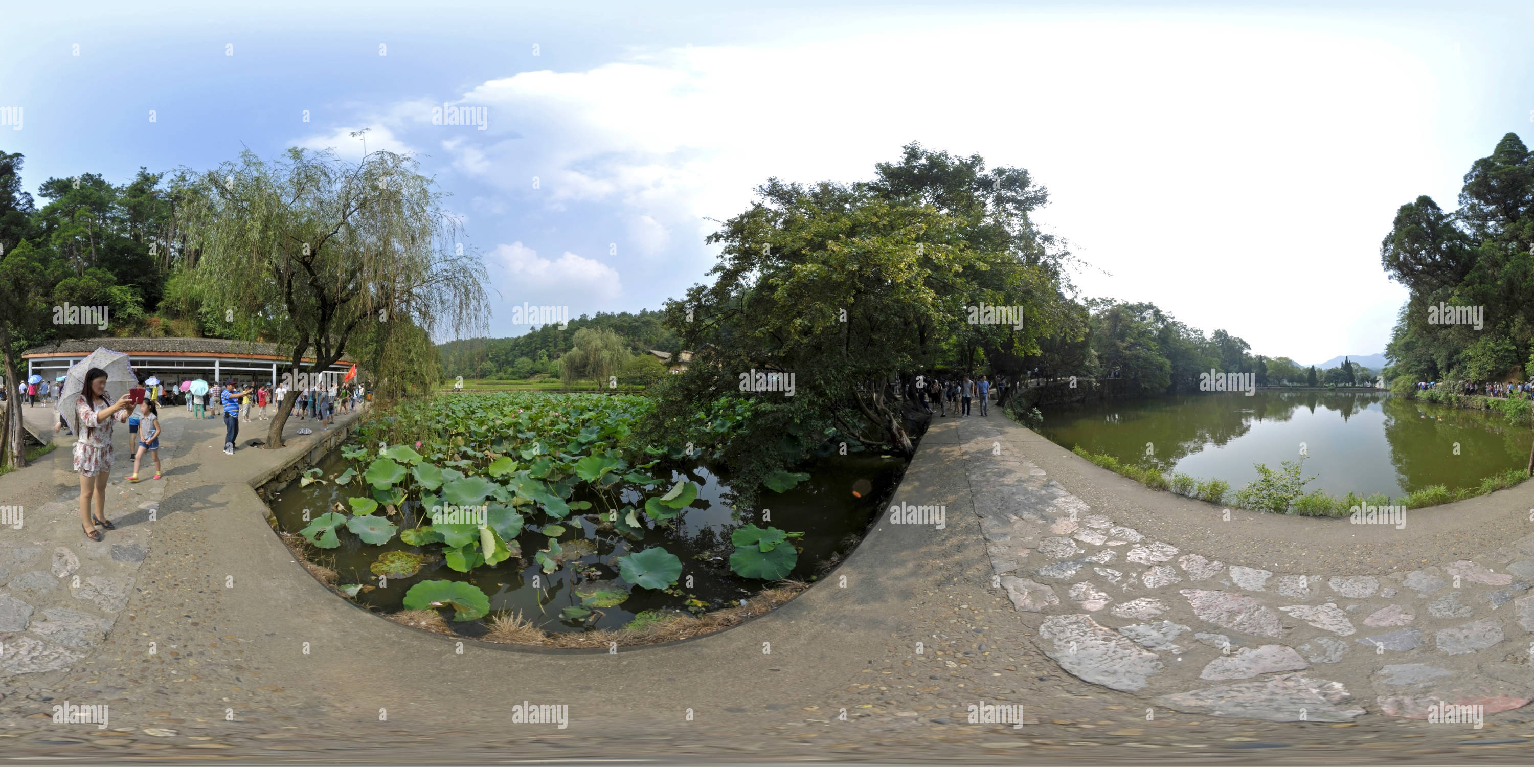 360° view of Shaoshan Lotus Pool (182) 韶山荷塘 - Alamy