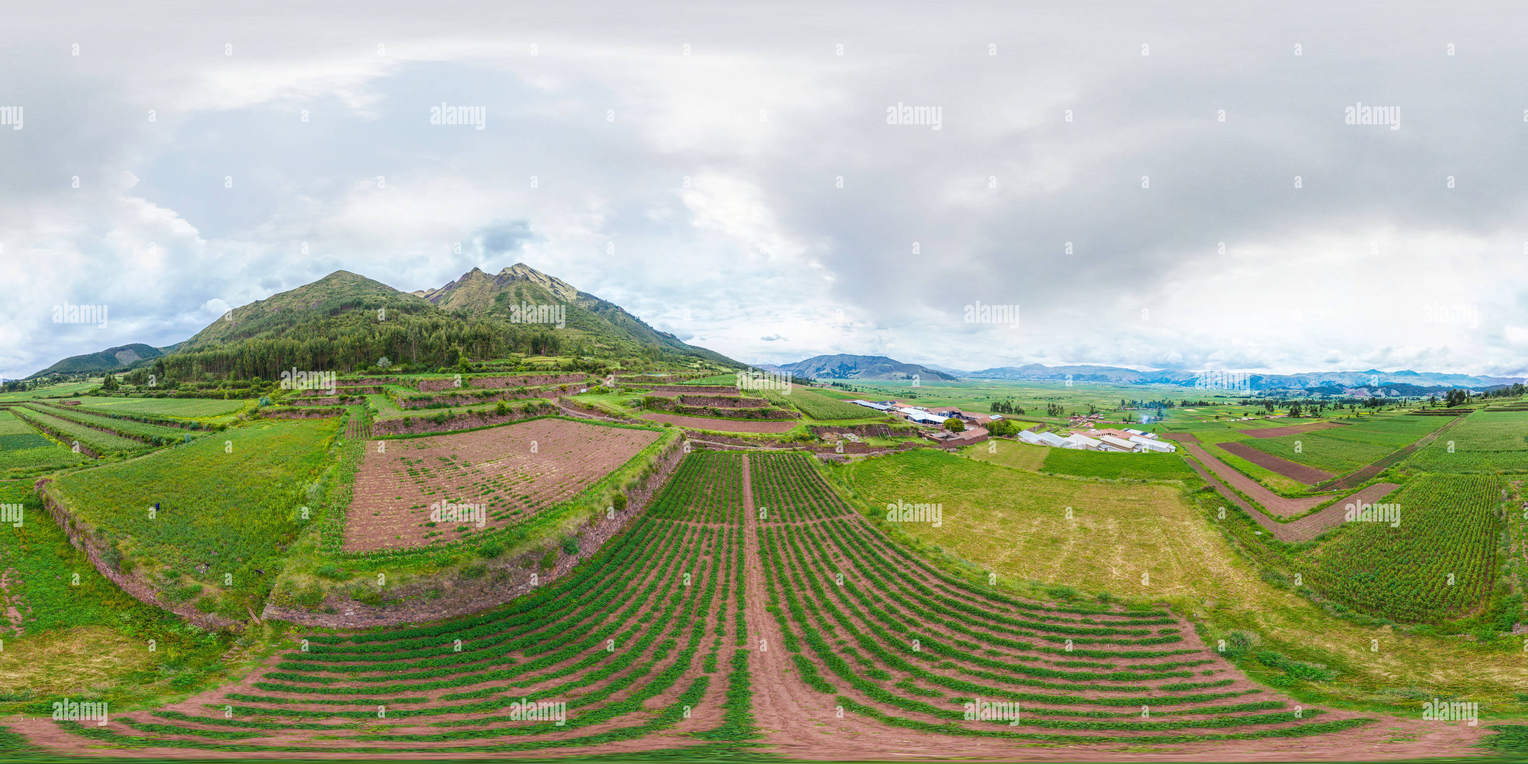 Andenes andes hi-res stock photography and images - Alamy