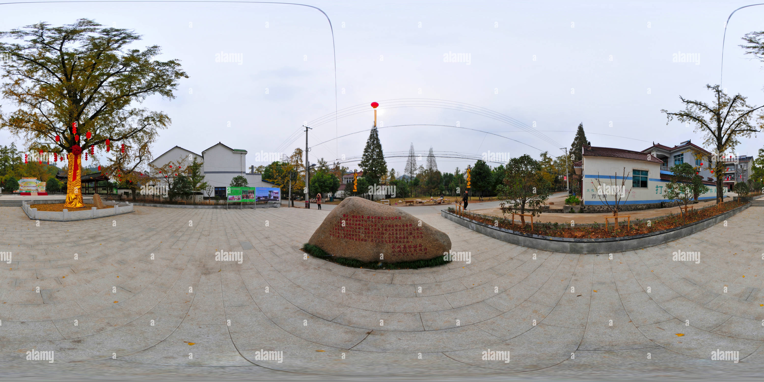 360° view of Guo Moruo — Ginkgo-郭沫若《银杏》三(007 - Alamy
