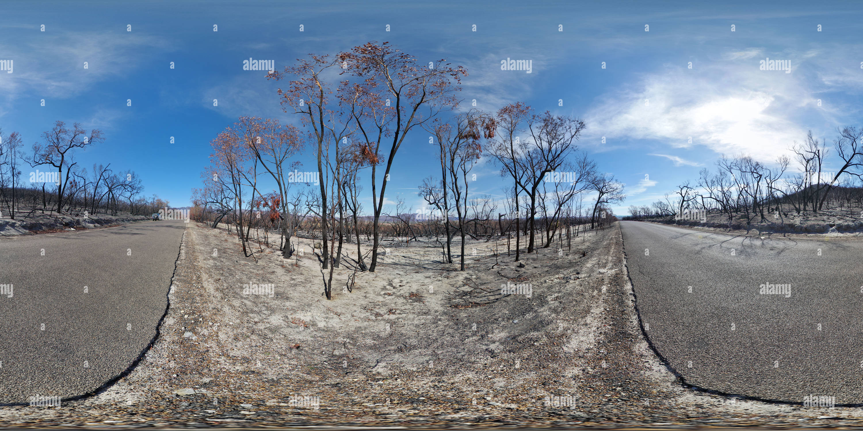 360° view of Roses Gap Road after Northern Grampians Complex Fire - Alamy