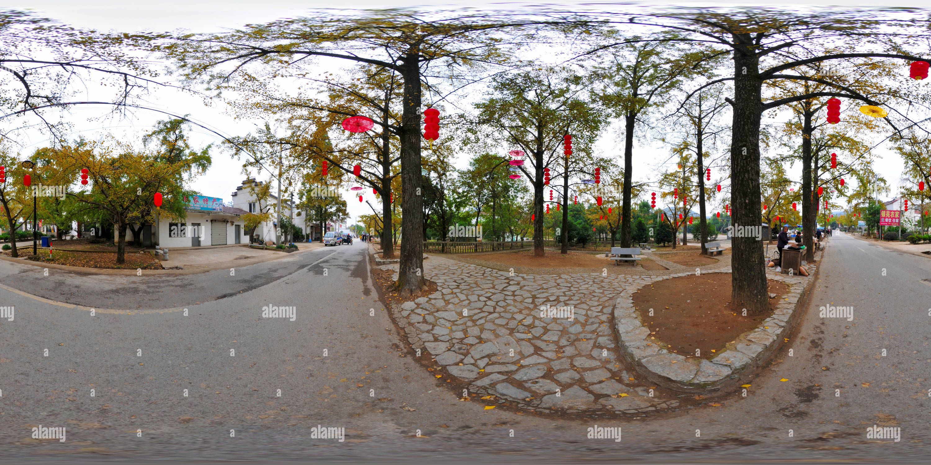 360° view of Changxing Ancient Ginkgo Corridor古银杏长廊-方一村景(031 - Alamy