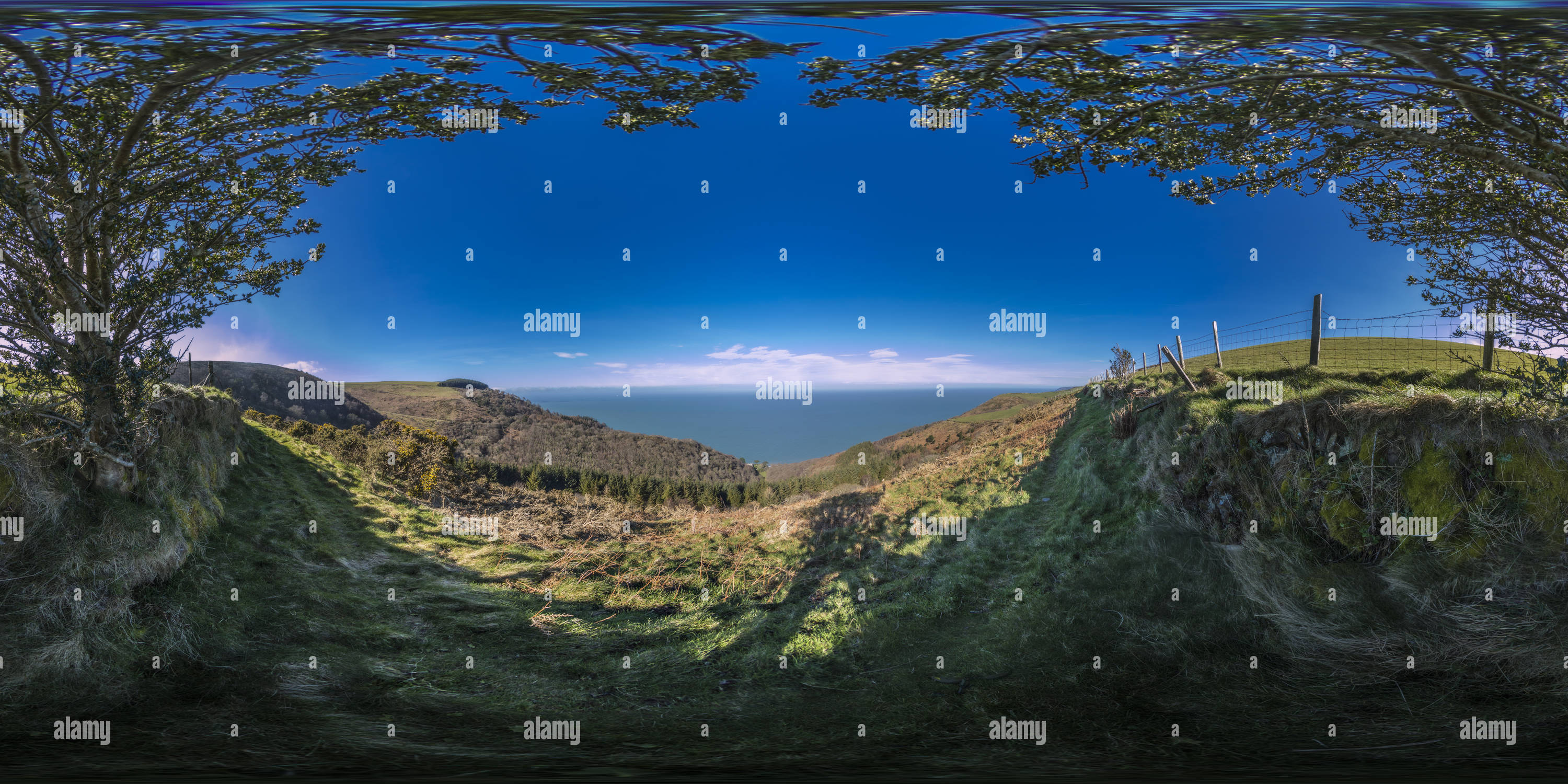 Glenthorne hi-res stock photography and images - Alamy