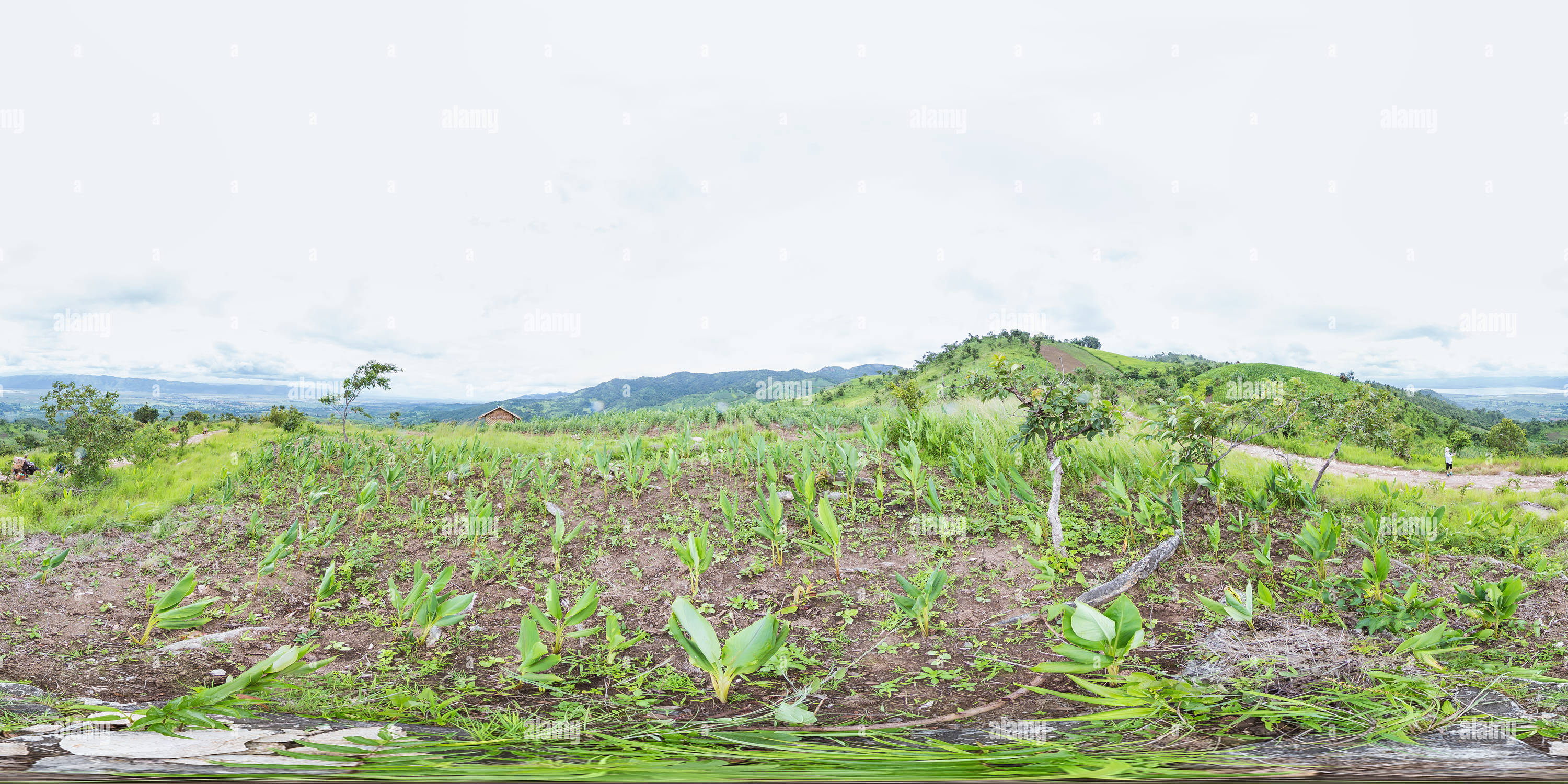 360° view of Hill Tribes tracking load of Inle Lake - Alamy