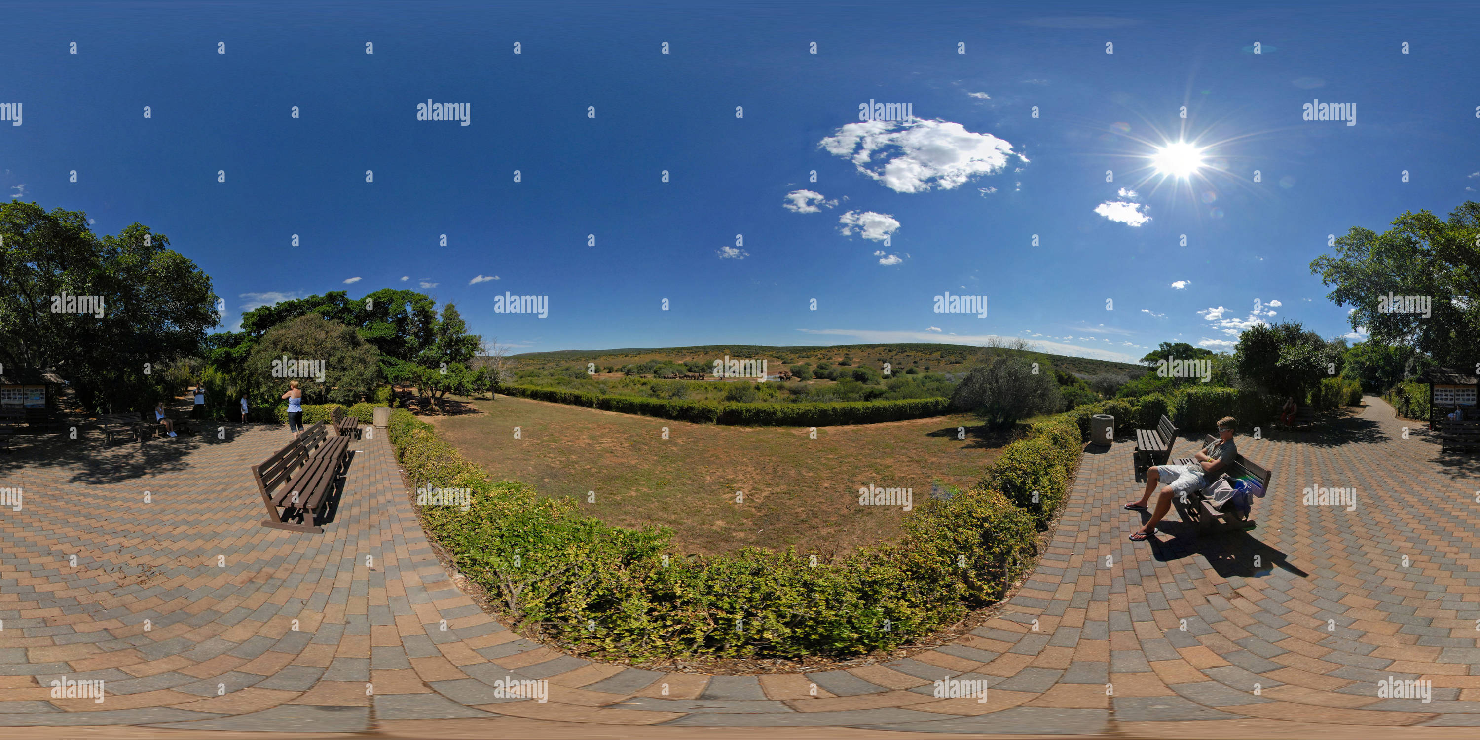 Elephant 360 hi-res stock photography and images - Alamy