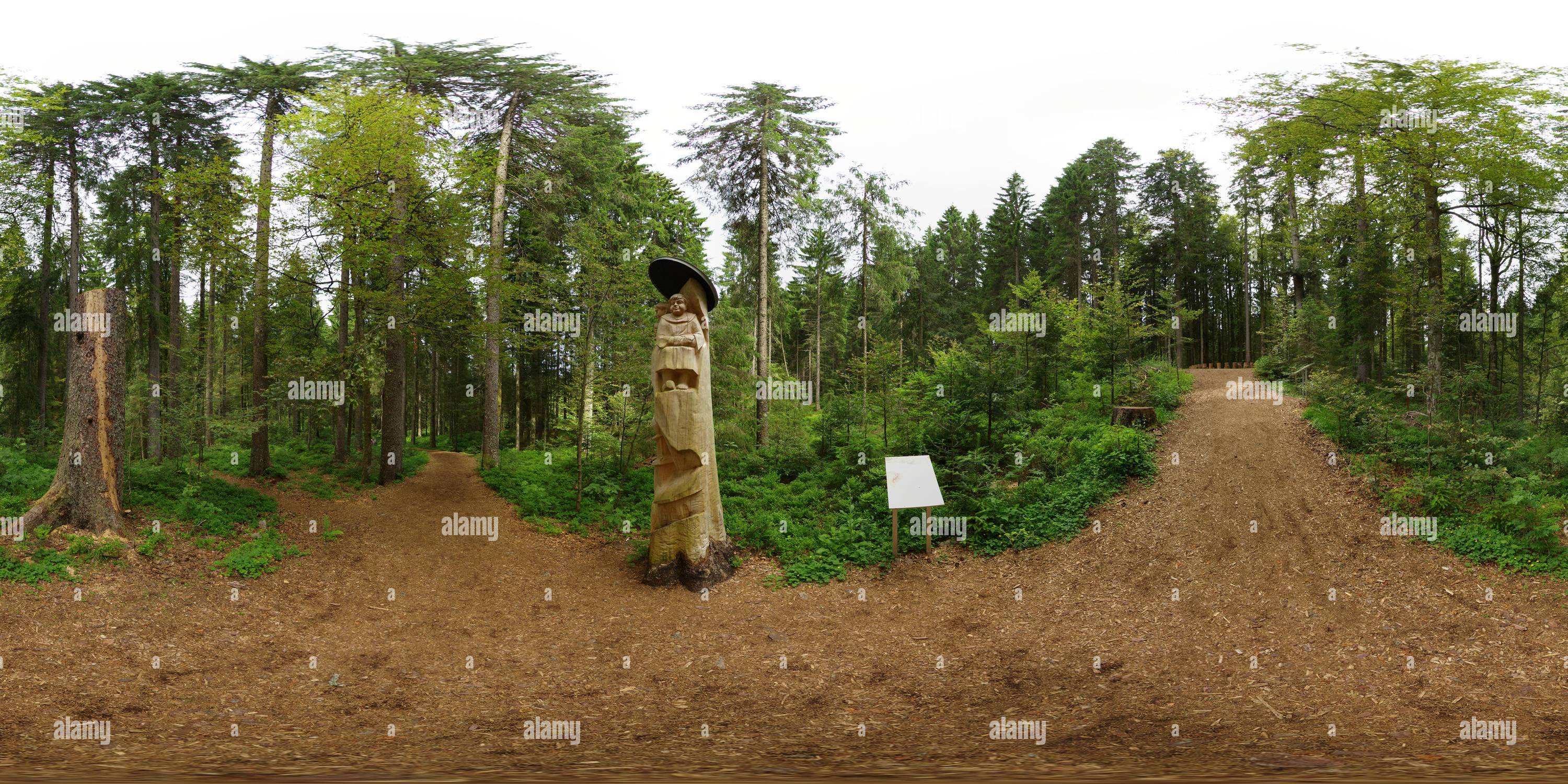 360° view of Enchanted Forest Walk - Alamy
