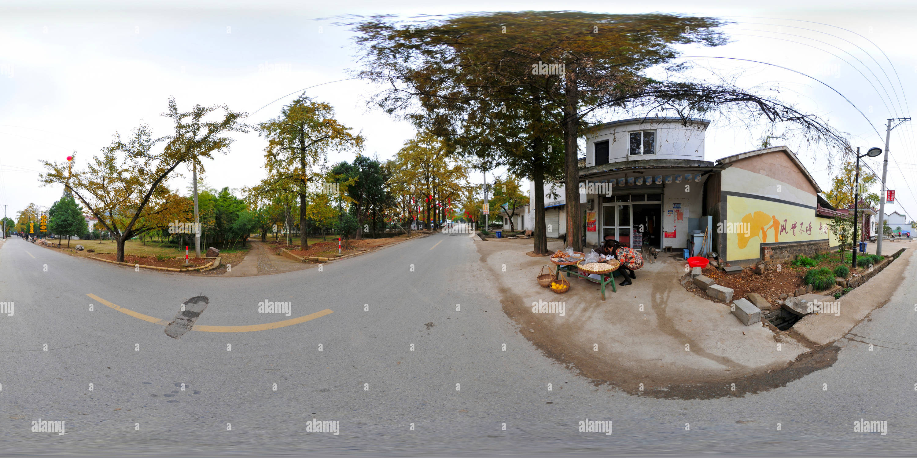 360° view of Changxing Ancient Ginkgo Corridor古银杏长廊-路边小店(061 - Alamy