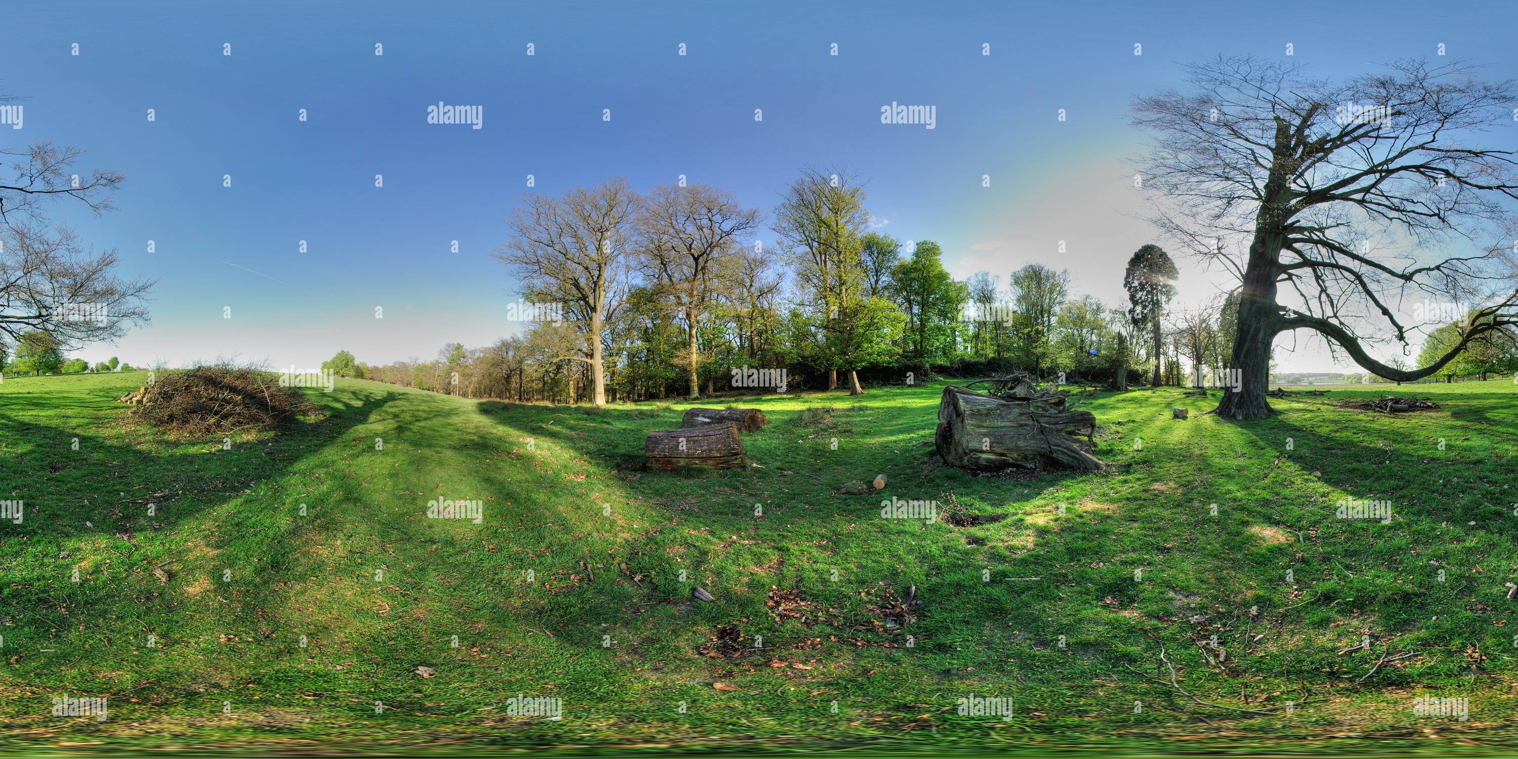 360° view of Richmond Park, London - Alamy