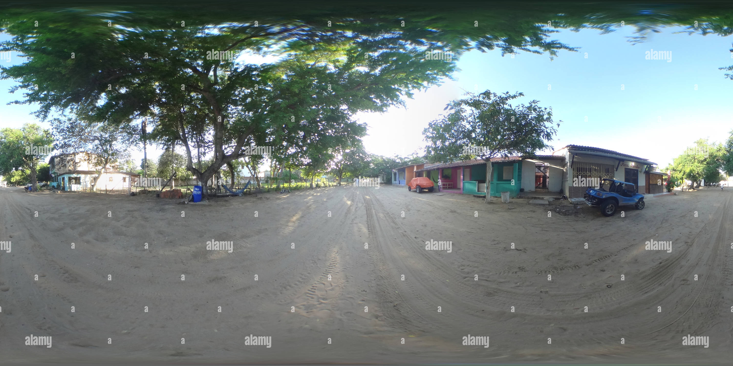 360° view of large tree and blue buggie in Jericoacoara Dsc05379 - Alamy