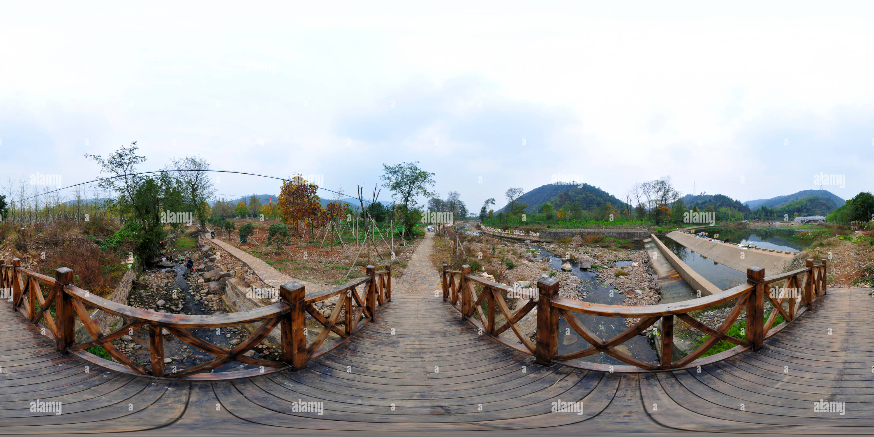 360° view of Changxing Ancient Ginkgo Corridor古银杏长廊-村南山涧(079 - Alamy
