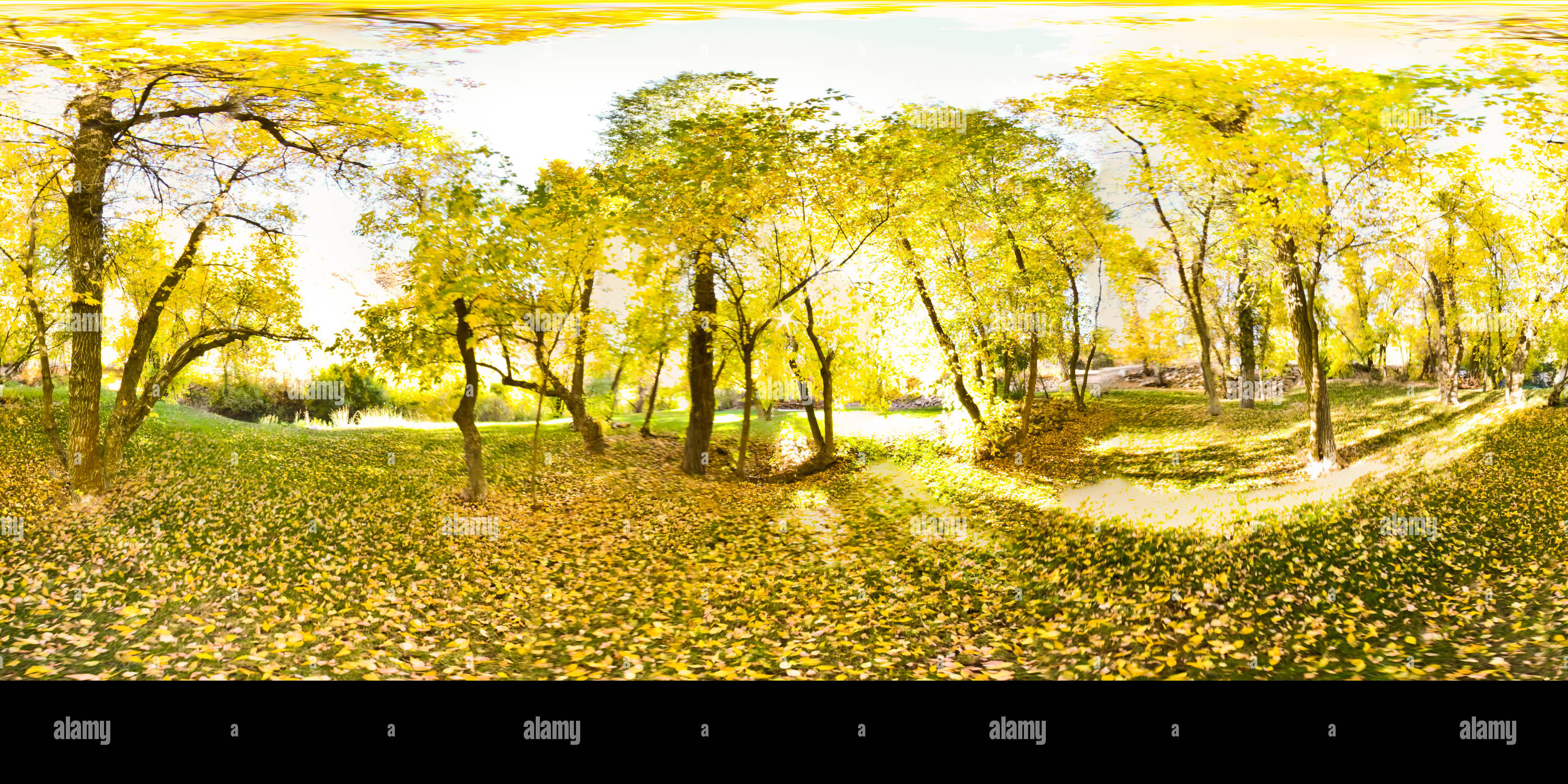 360° view of Hobble Creek In Fall - Alamy