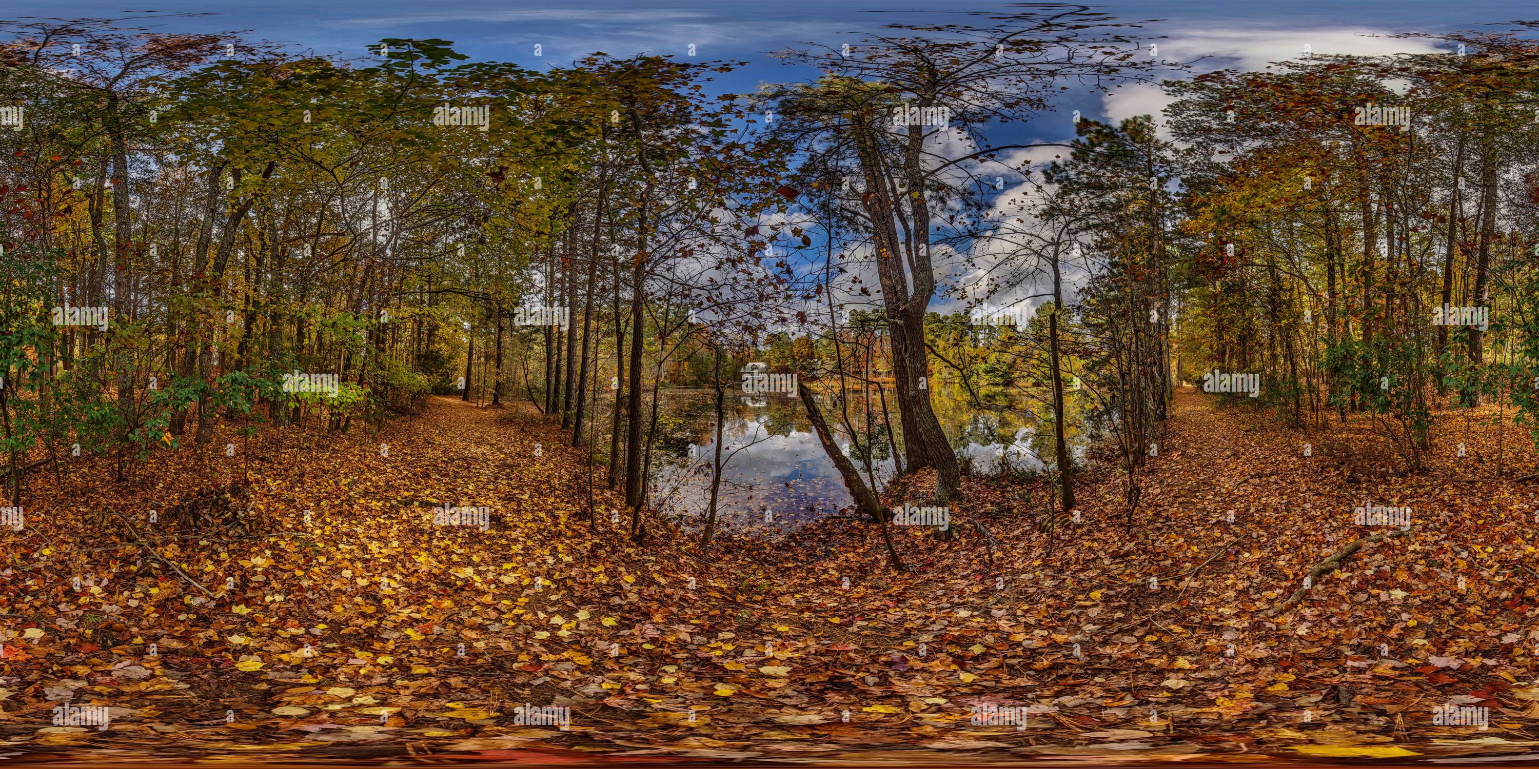 360° view of Cedar Falls Park, Weaver Dairy Road, Chapel Hill, NC - Alamy