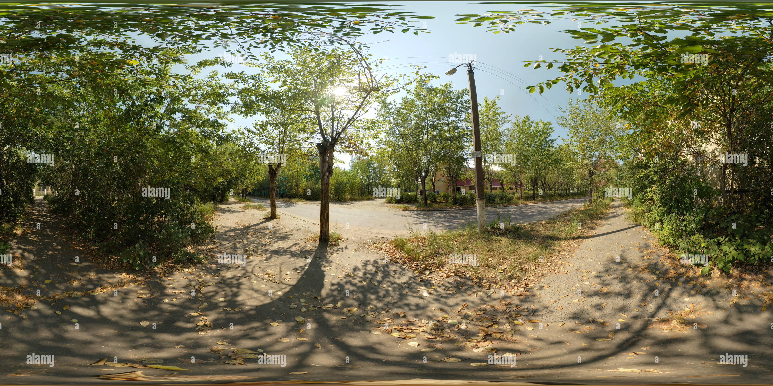 360° view of Jungle on Butlerov Street - Alamy