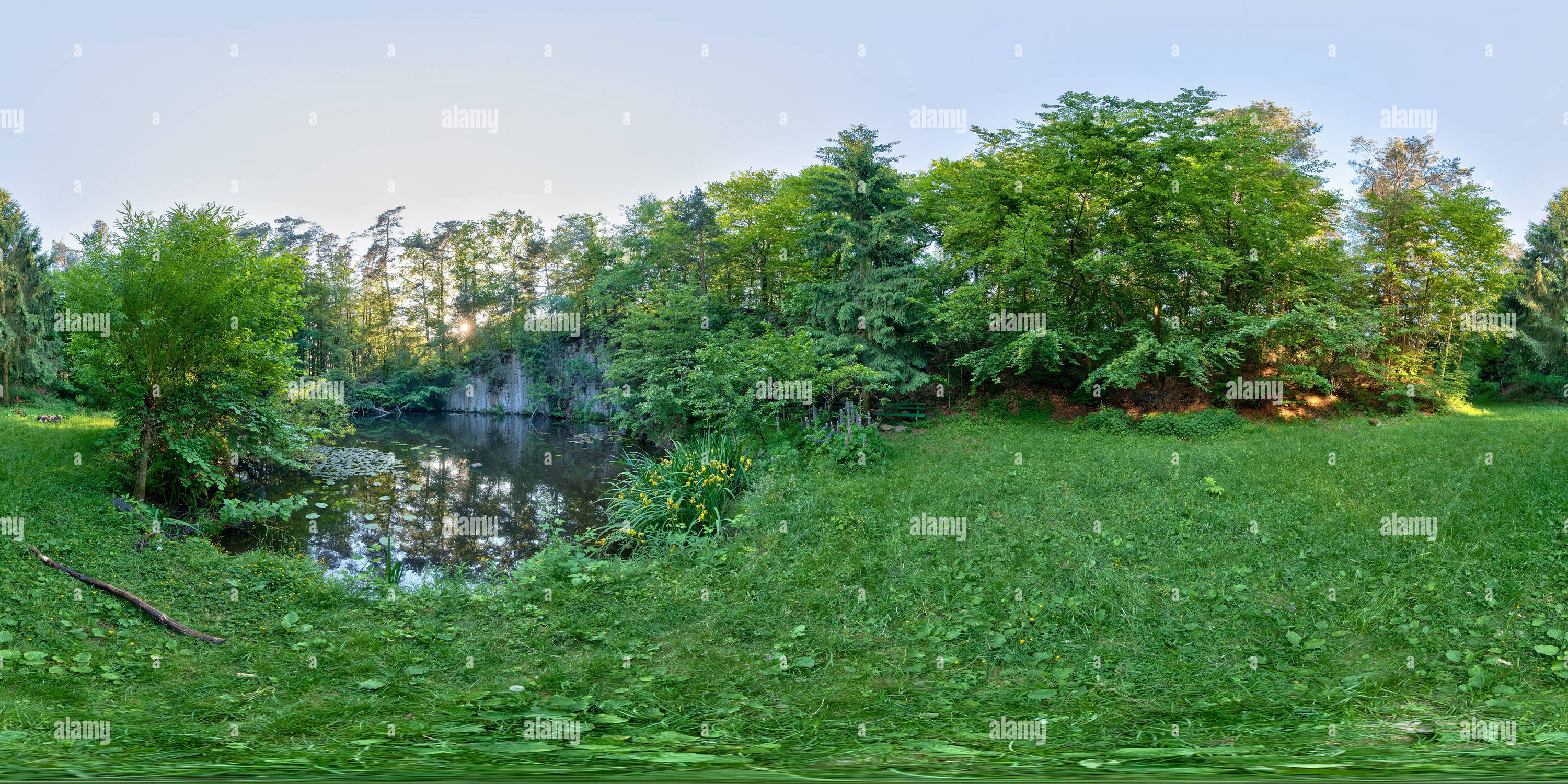 Kleiner teich hi-res stock photography and images - Alamy
