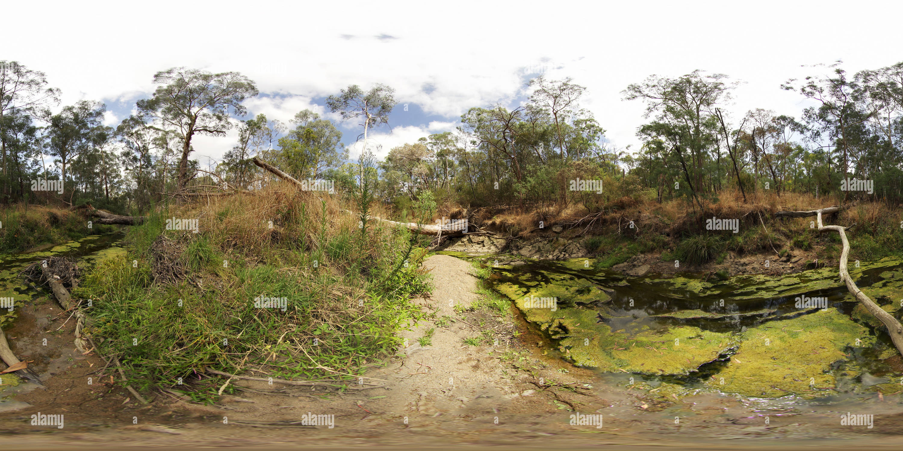 360° view of Yarran Dheran - Mullum Mullum Creek - Alamy