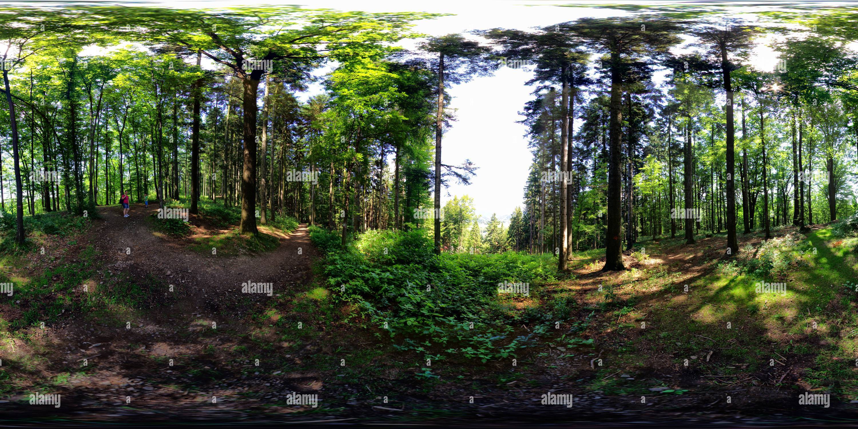 360° view of Cesta na Jurkovičovou rozhlednu od Parkoviště po Zelené ...