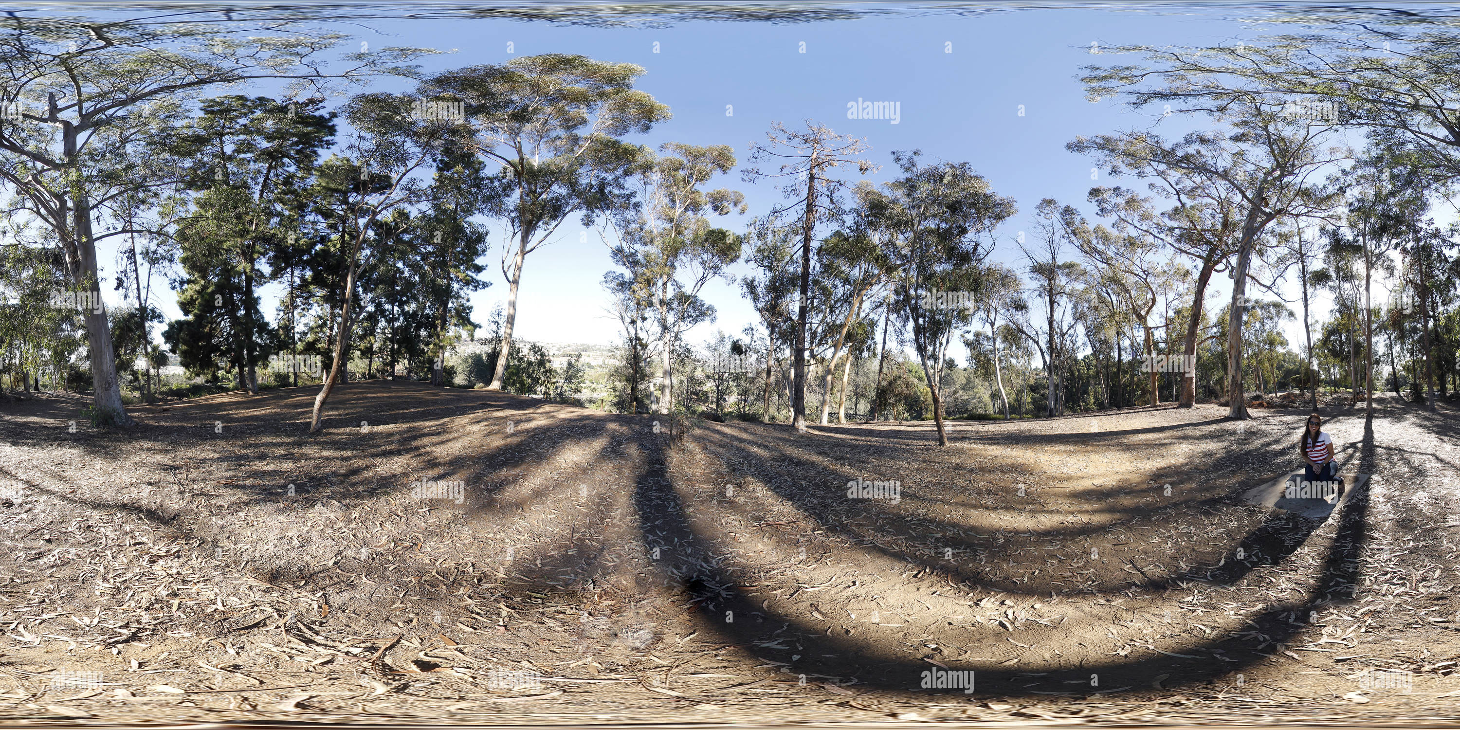 360° view of Presidio Woods Angelica Panorama Spotremove - Alamy