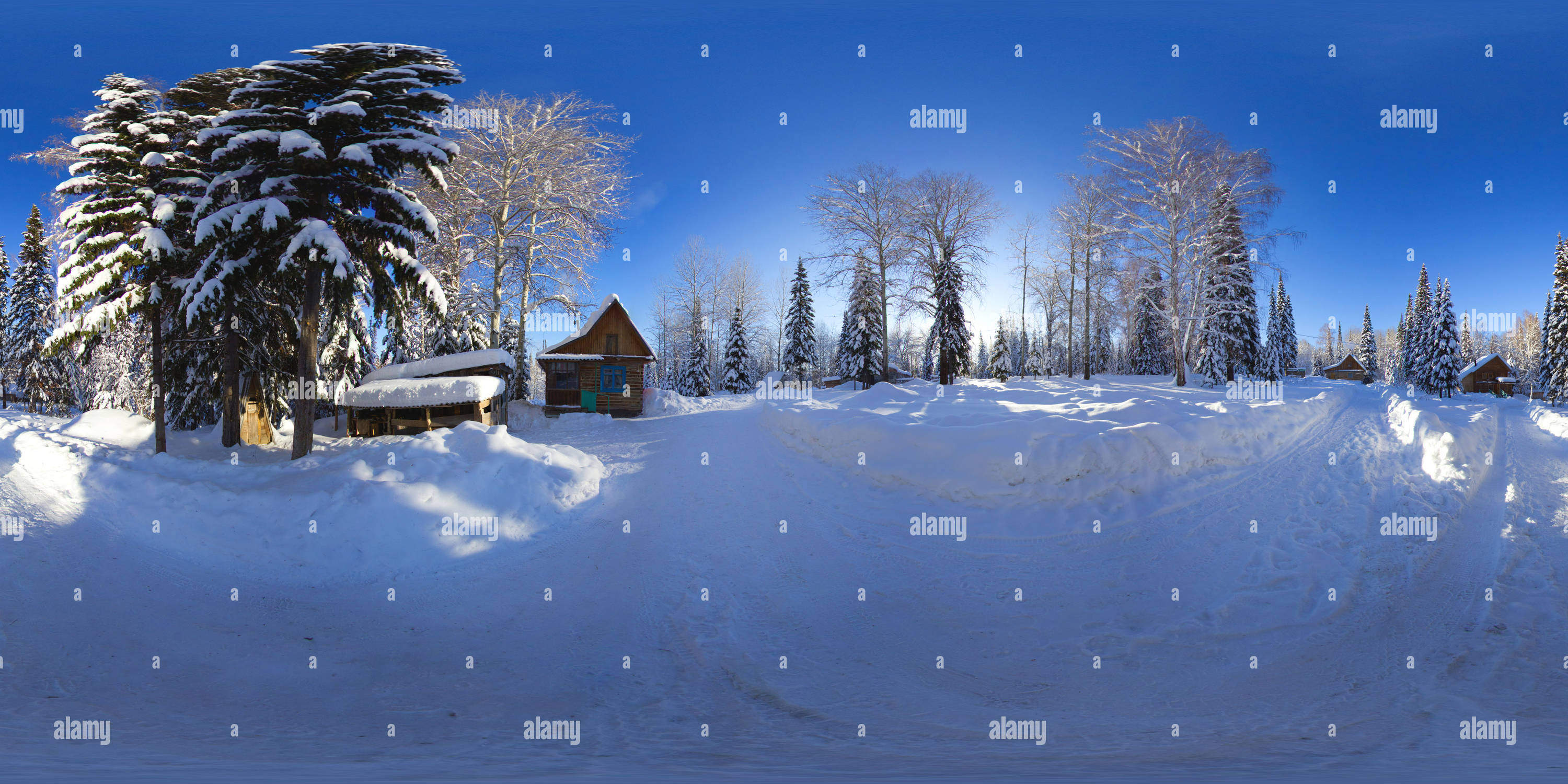 360° view of Forest Zaimka "Zimovsky - Alamy