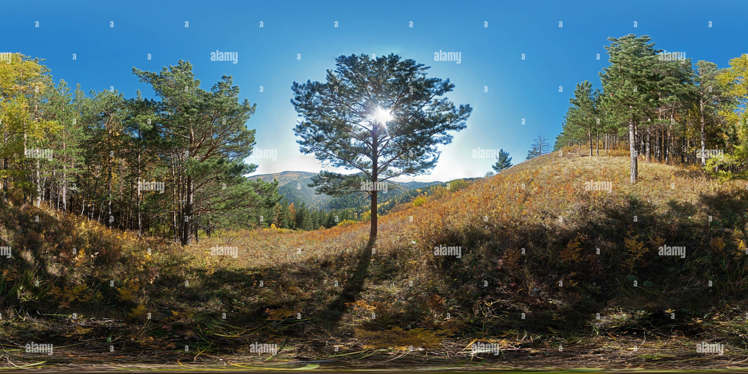 360° view of Kashtak Ridge, slope to the Mokhovaya River - Alamy