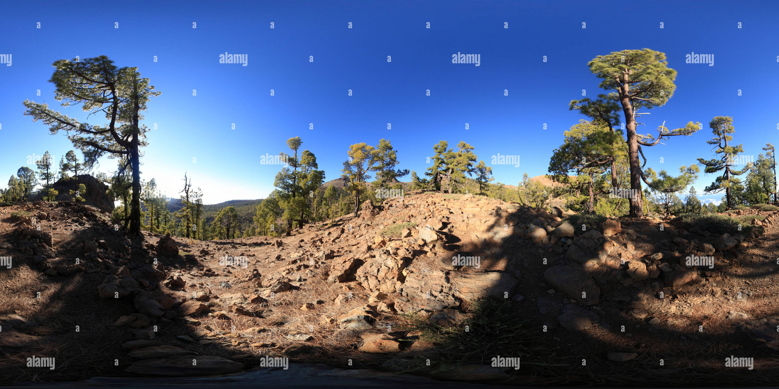 360° view of Vilaflor caldera walk panorama - Alamy