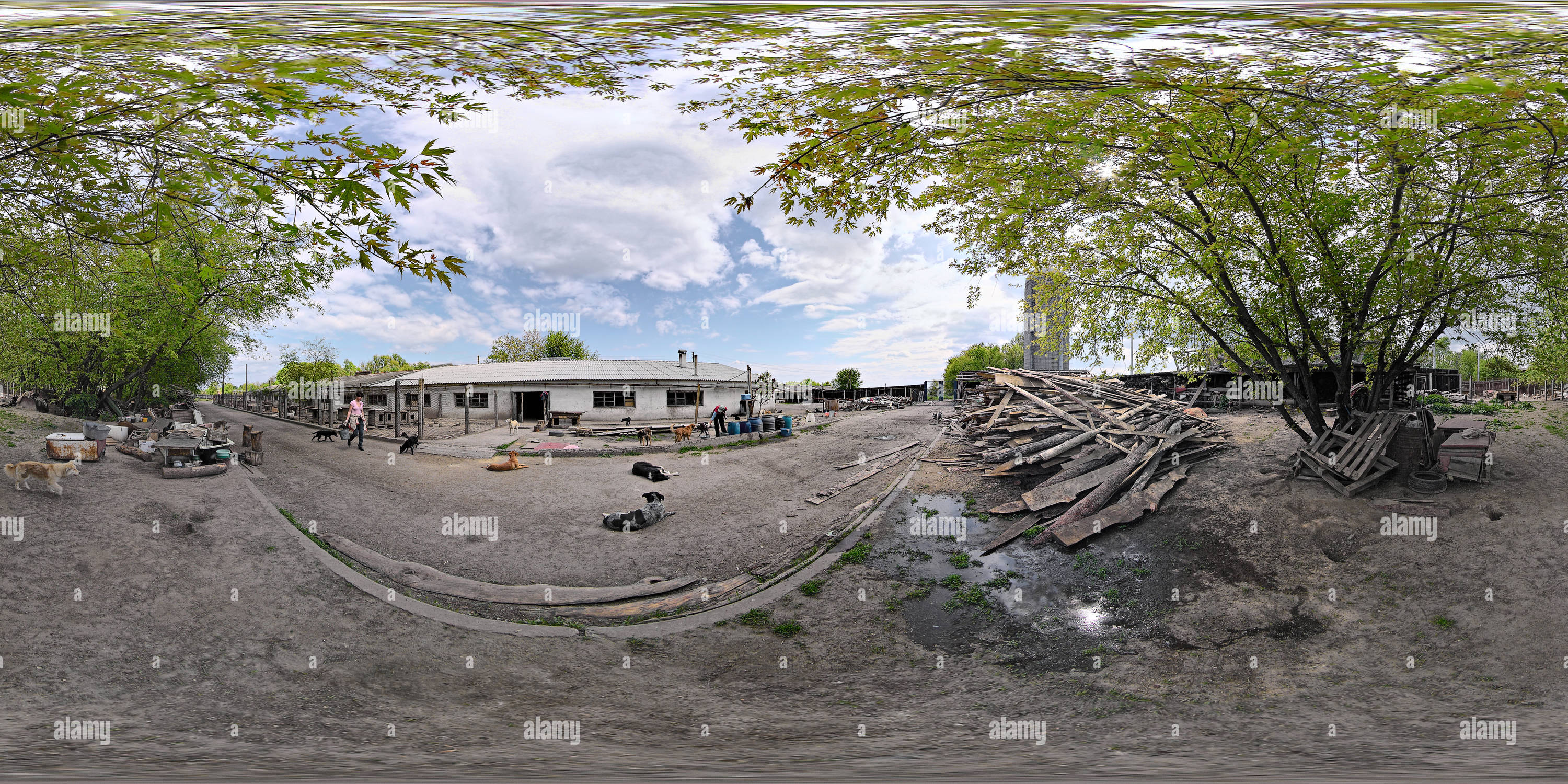 360° view of A noon at work - Alamy