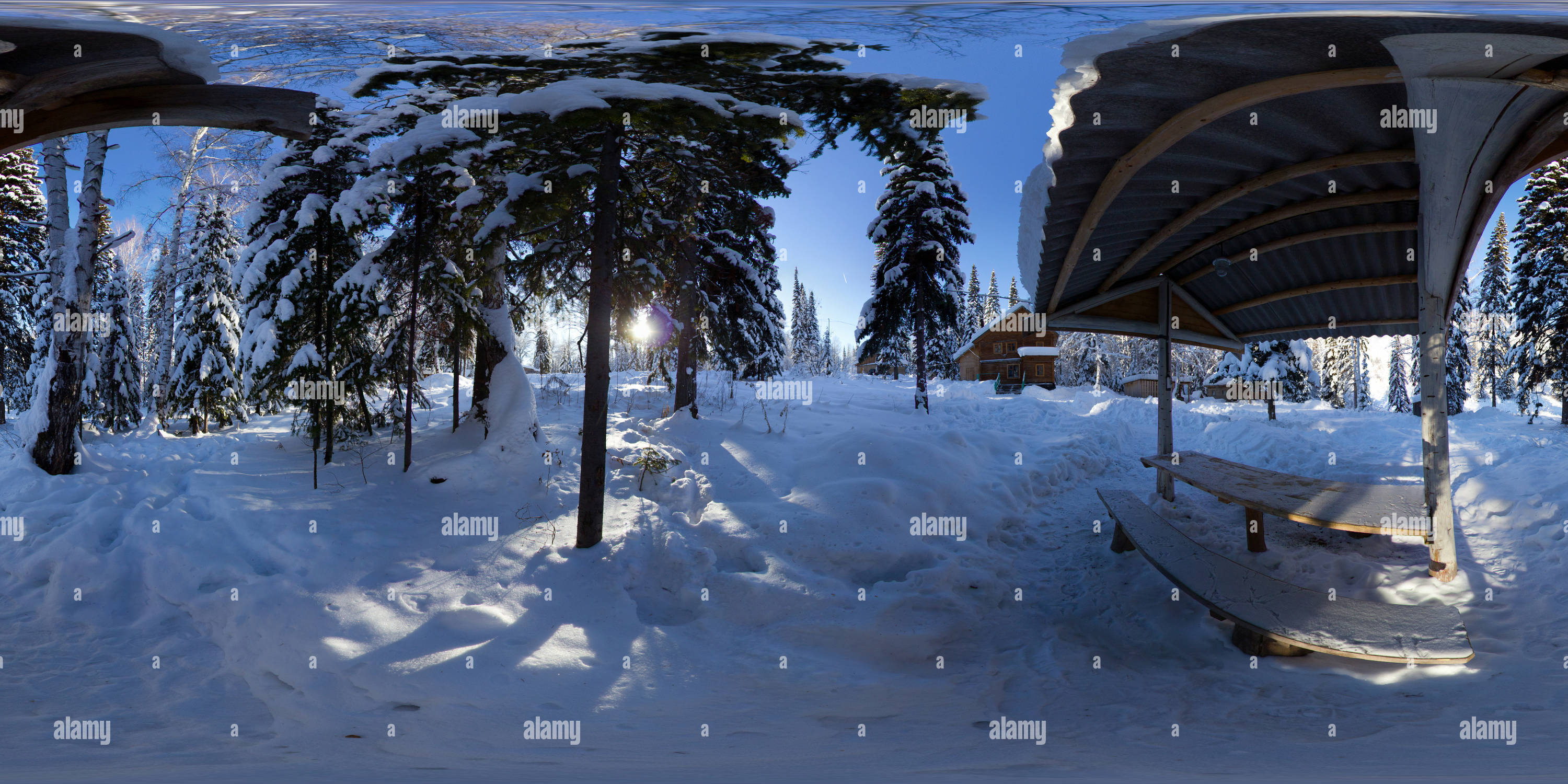 360° view of Forest Zaimka "Zimovsky - Alamy
