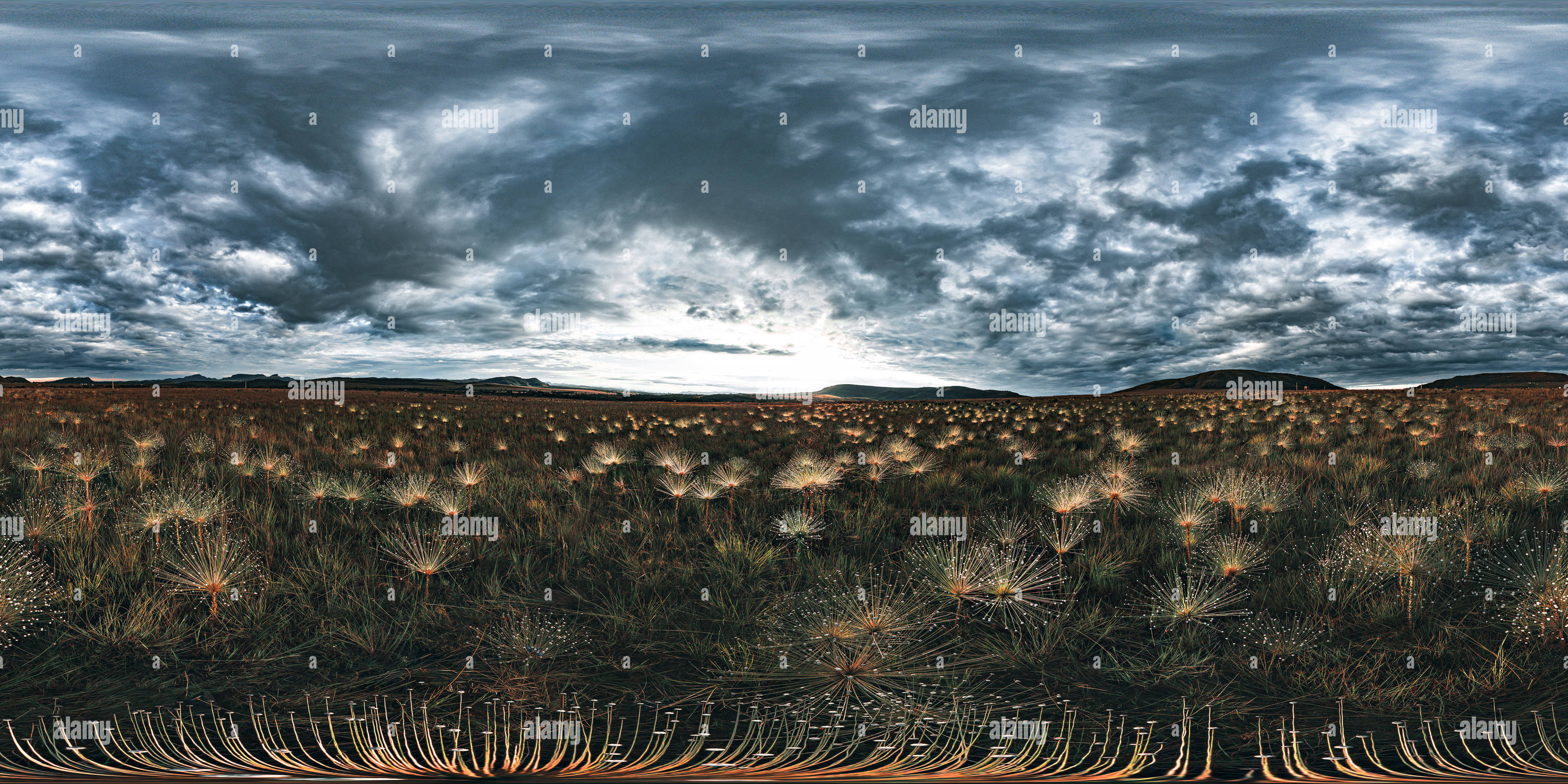 360° view of This 360 photo captures the magic of these small and ...