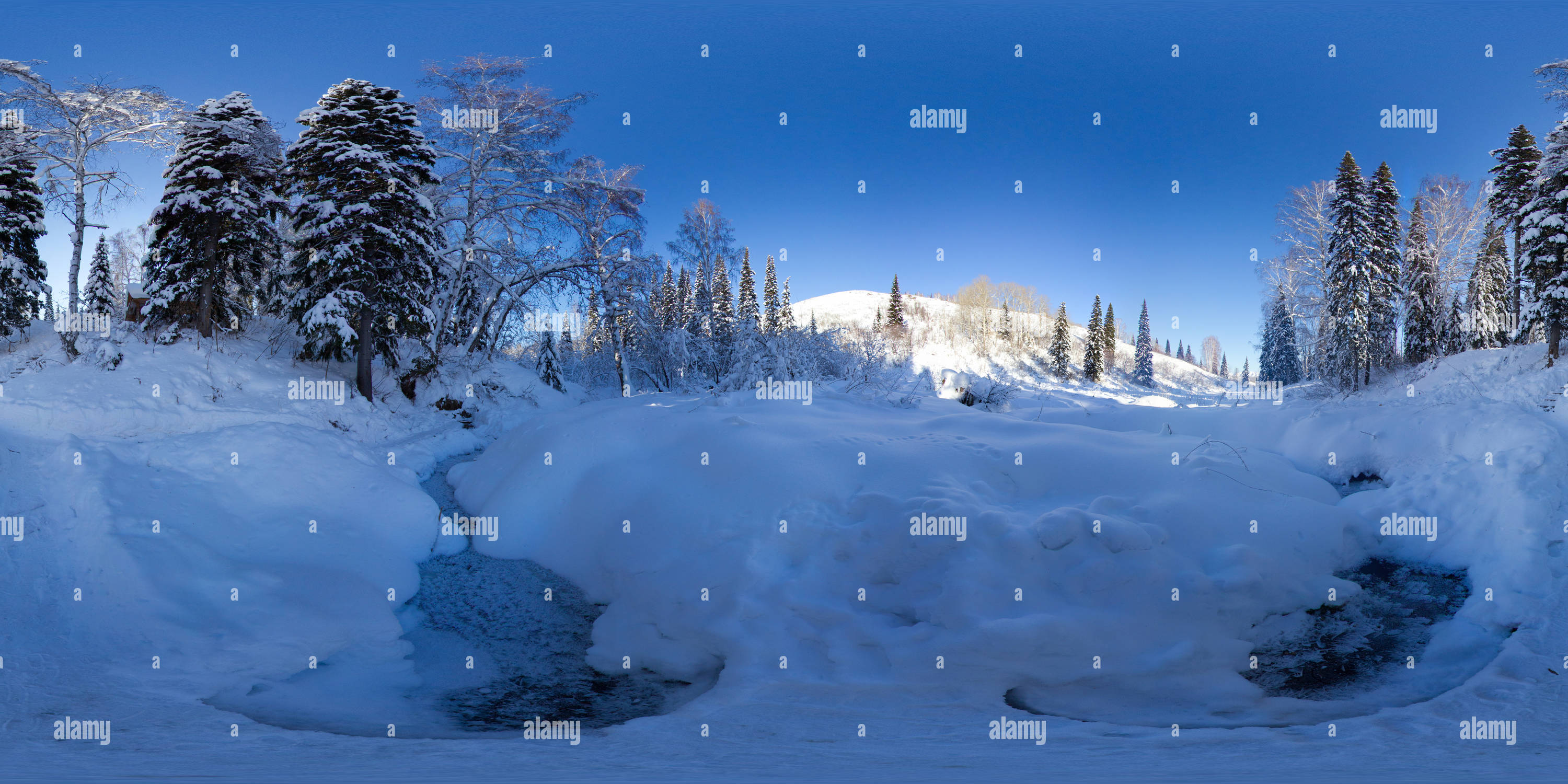 360° view of Forest Zaimka "Zimovsky - Alamy