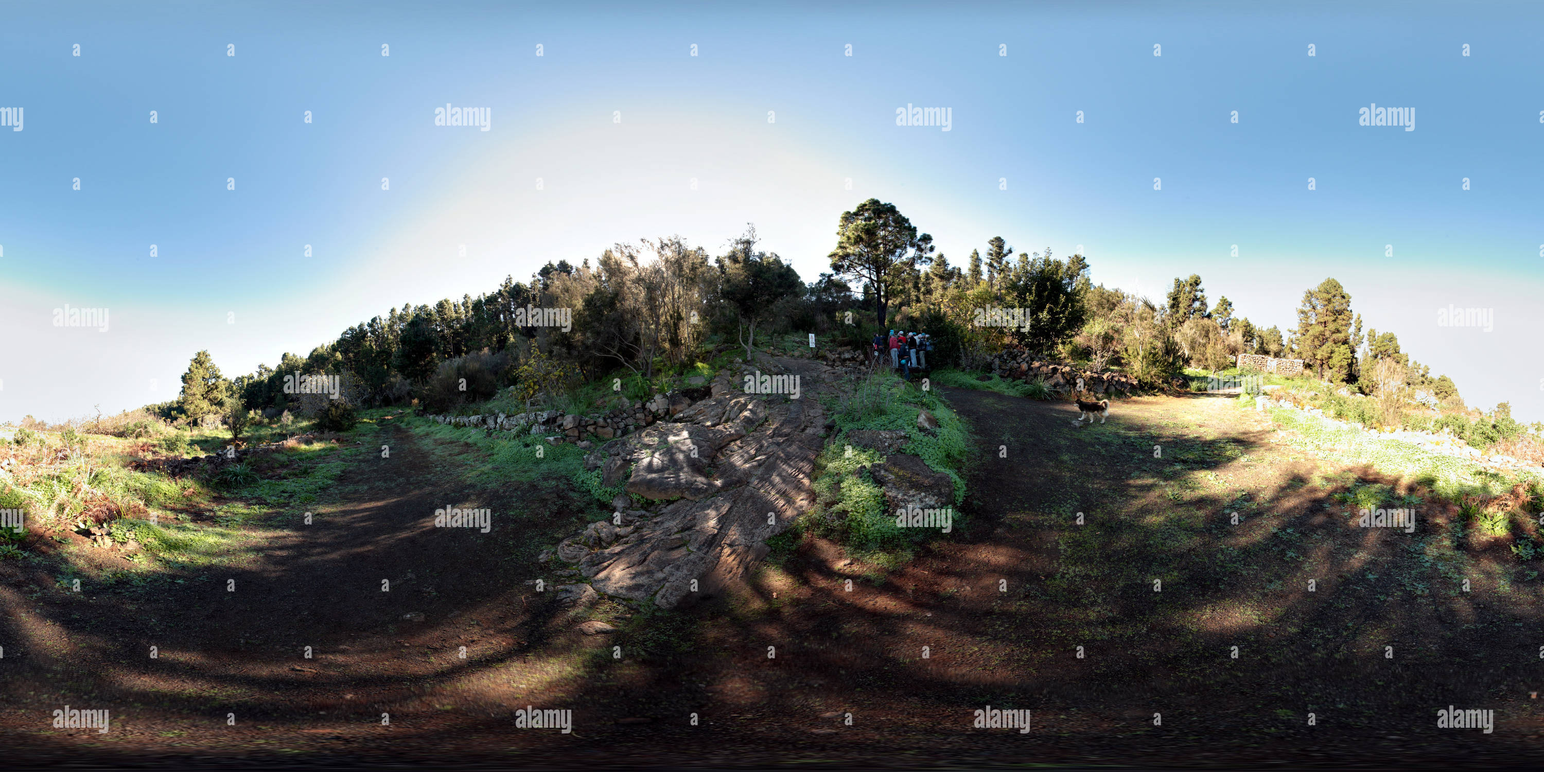 360° view of Cueva del Viento pahoehoe lava - Alamy