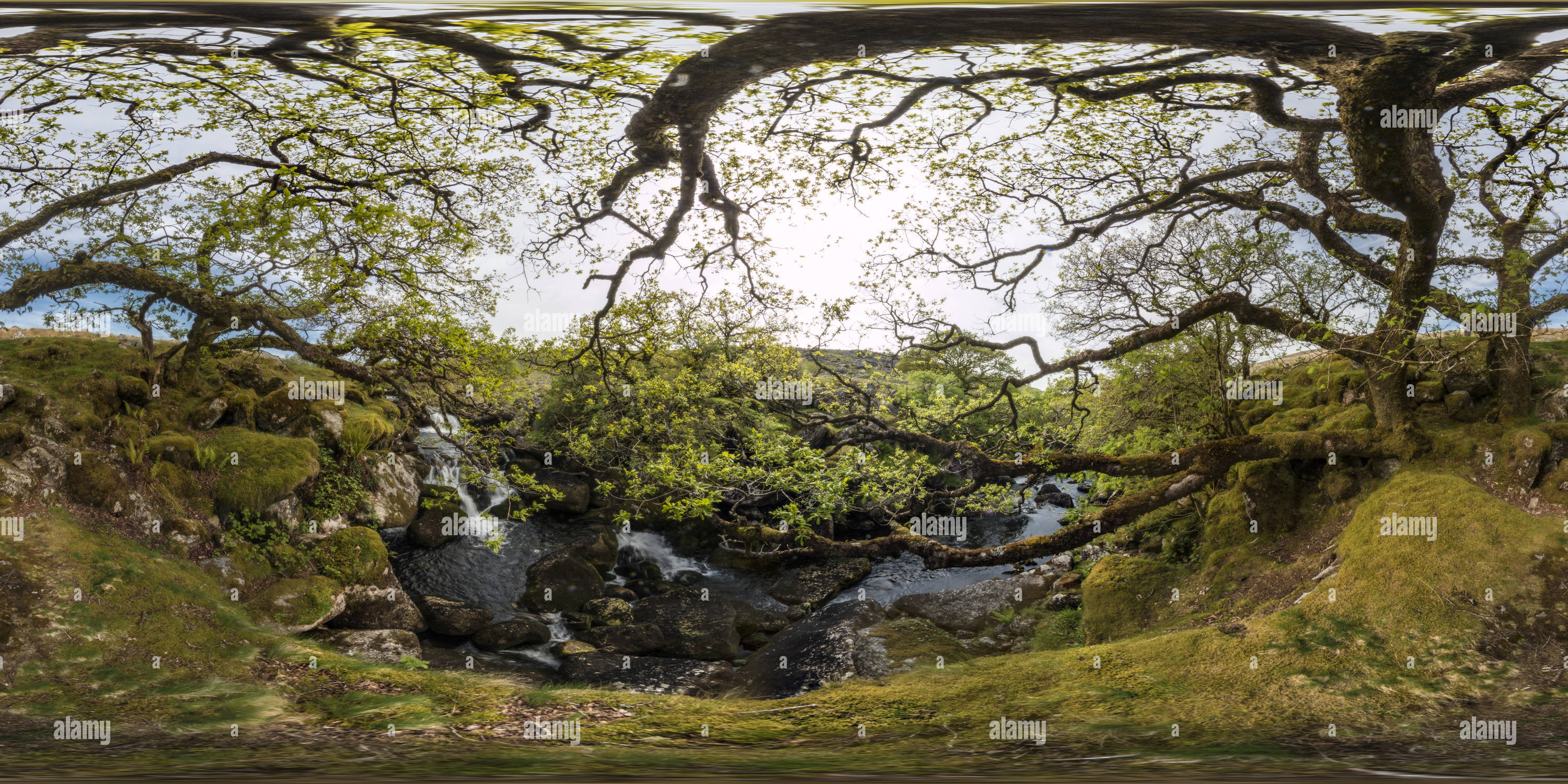 360° view of West Okement River - Alamy