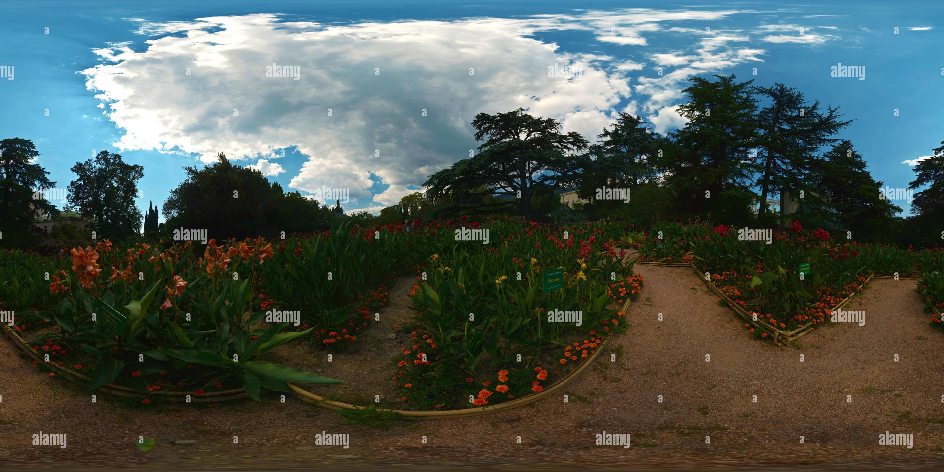 360° view of Flowers and trees - Alamy