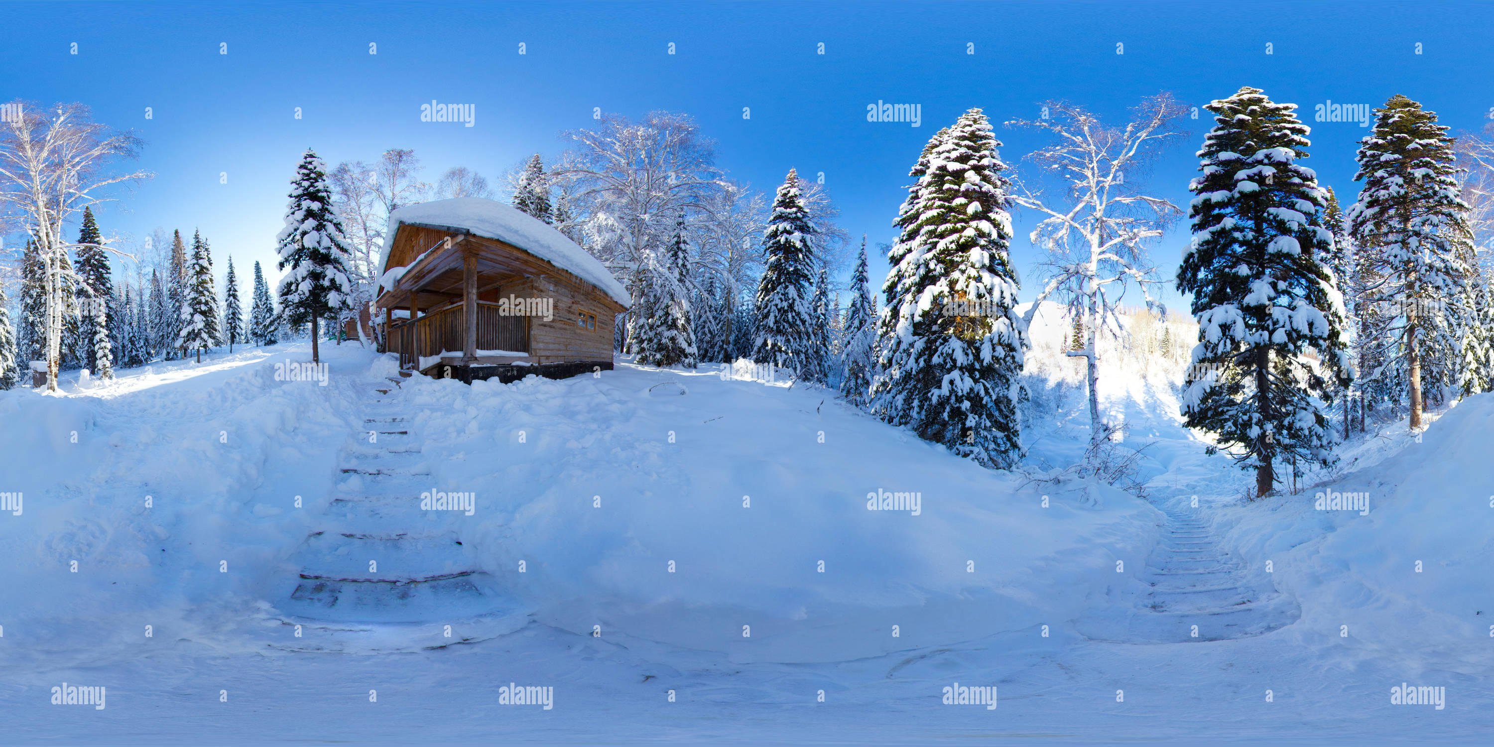 360° view of Forest Zaimka "Zimovsky - Alamy