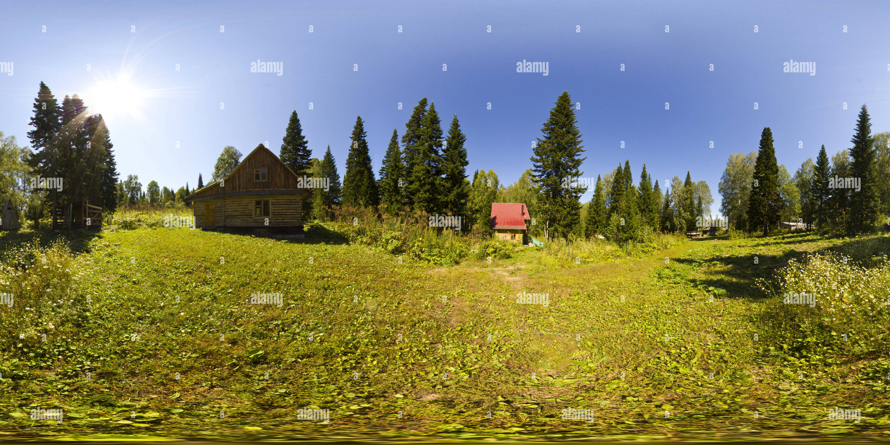 360° view of Forest Zaimka "Zimovsky - Alamy