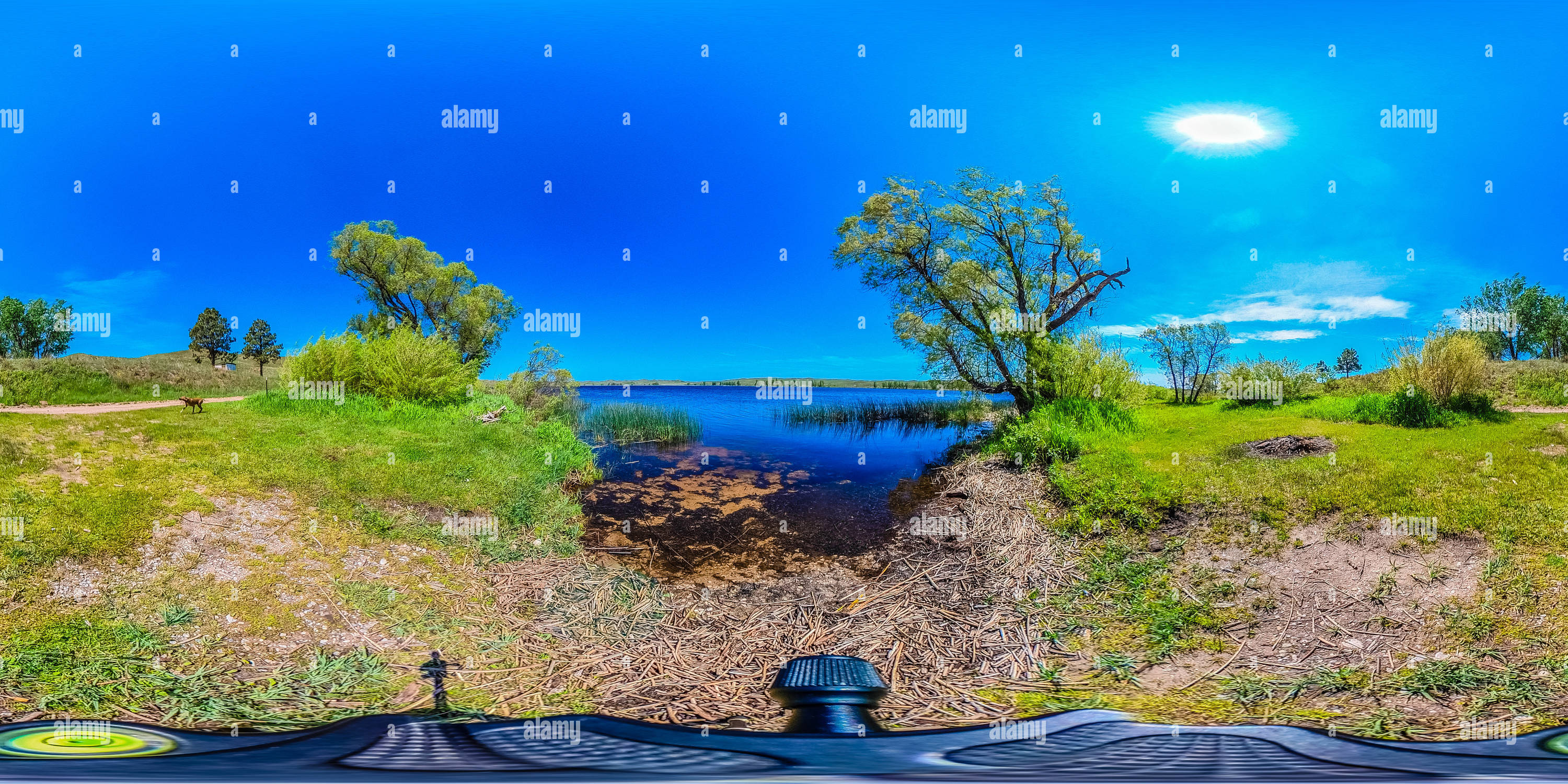 360° view of Old Cattails at Shell Lake, Gordon Nebraska - Alamy