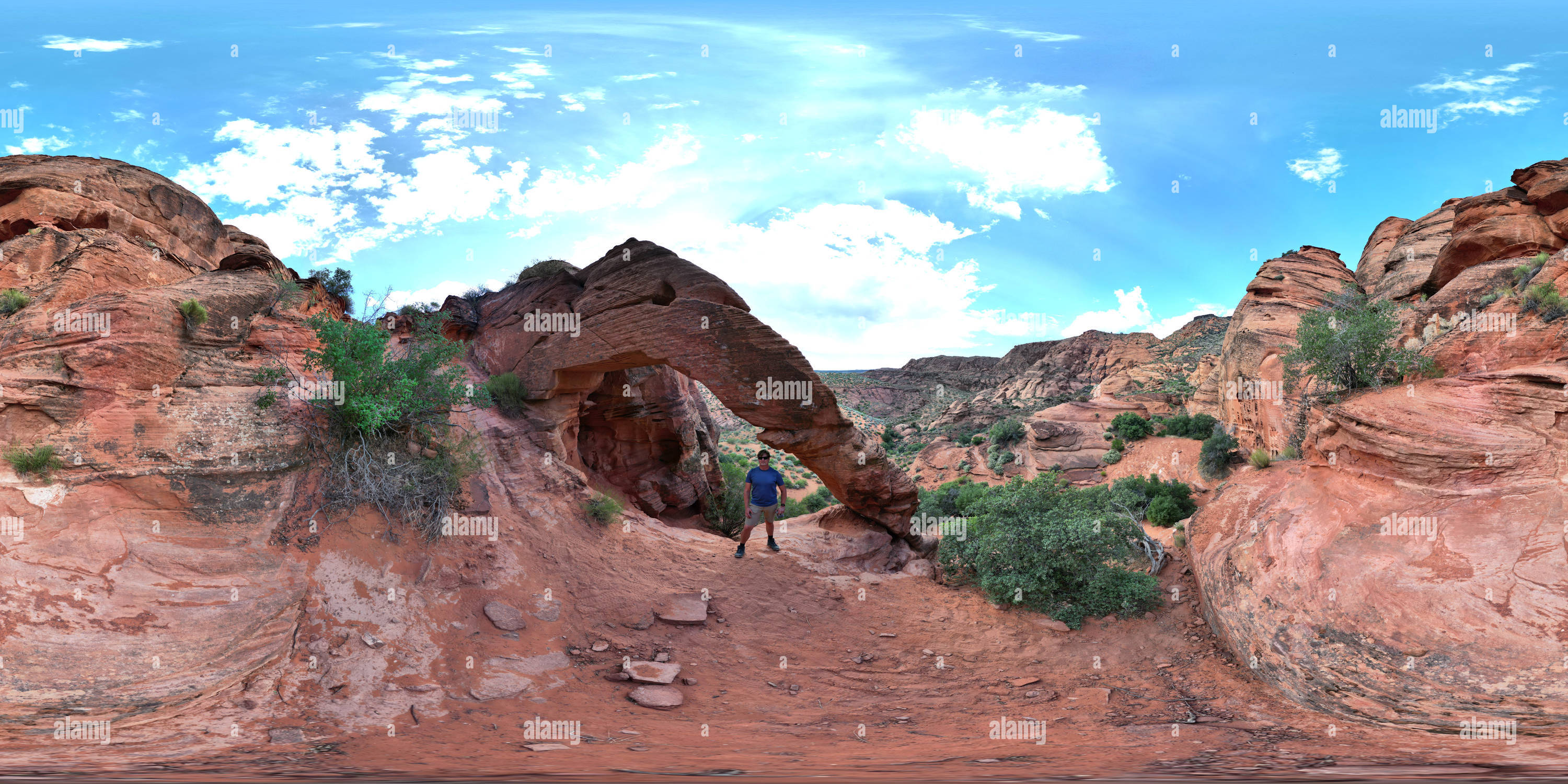 Elephant 360 hi-res stock photography and images - Alamy