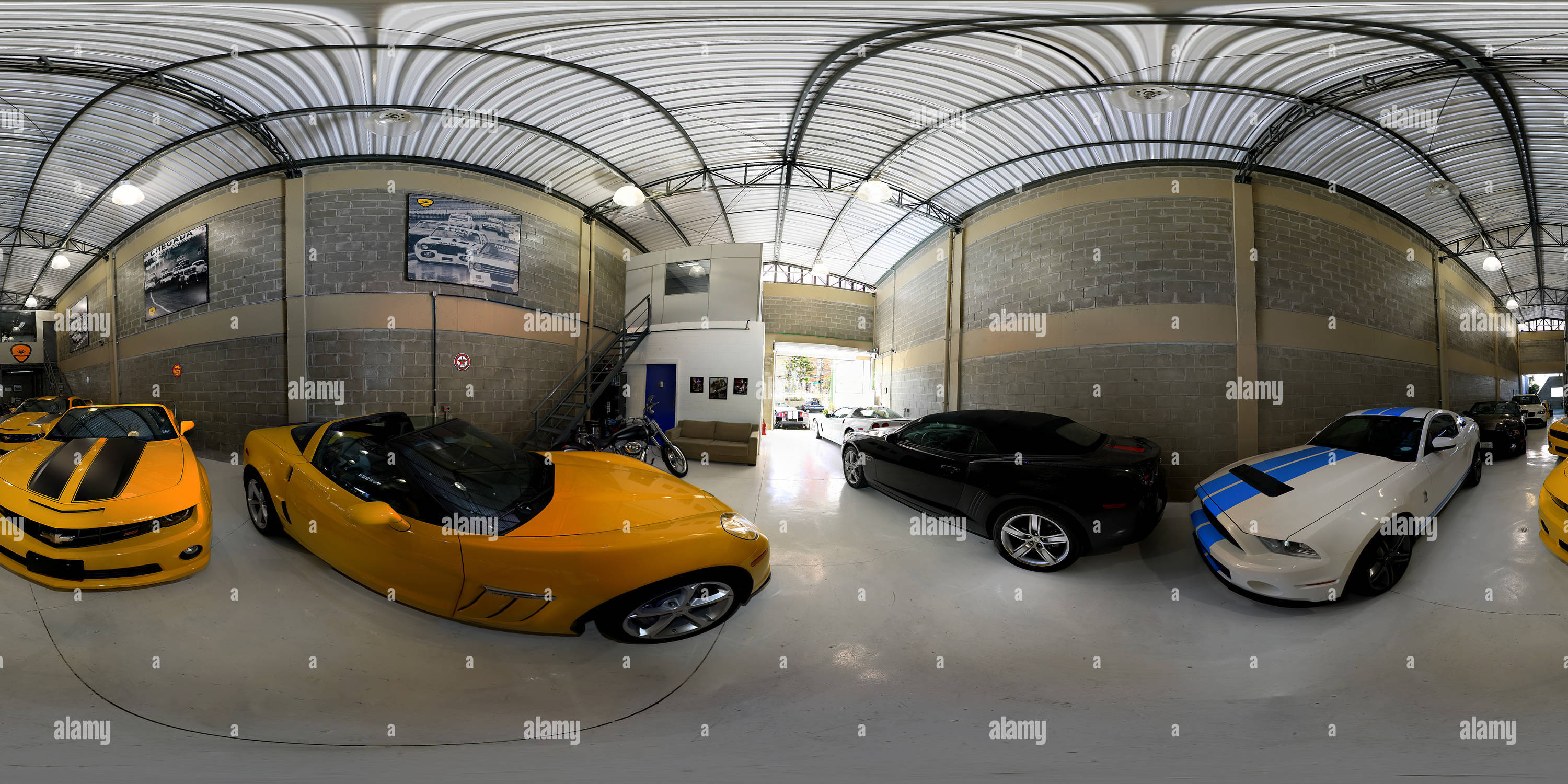 360° view of Camaro ou Cobra - Alamy