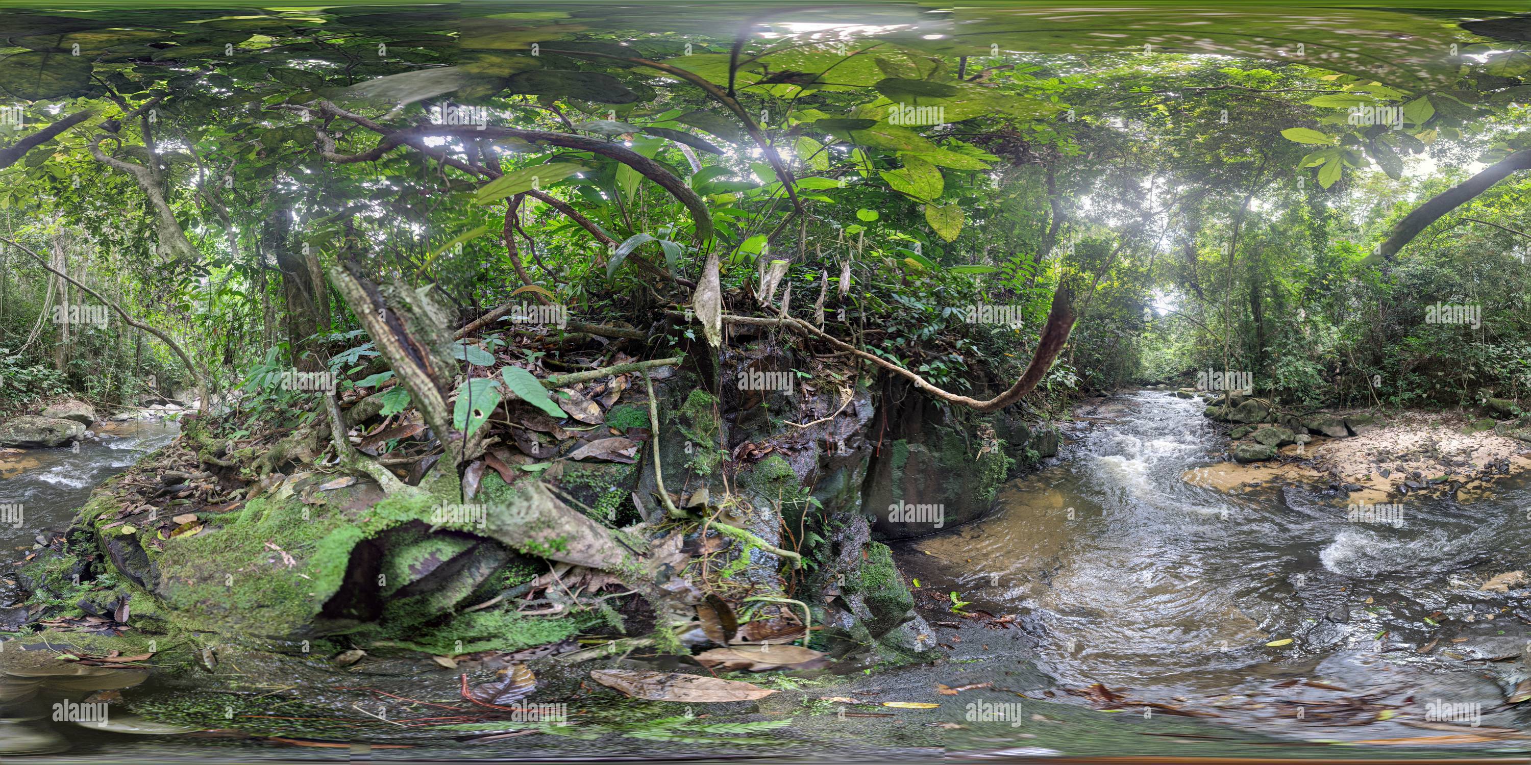 360° view of Migoutsi River, Nyanga, Gabon - Alamy