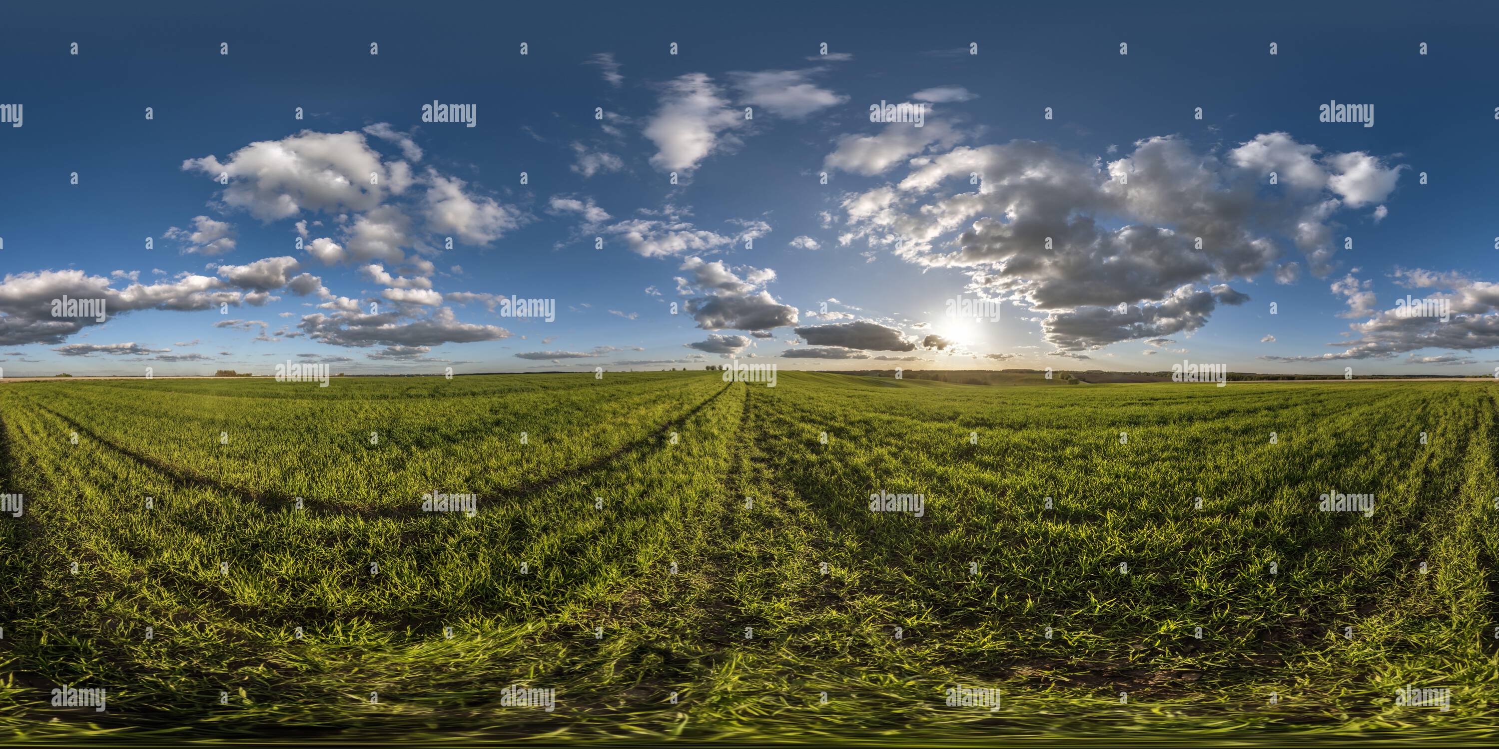 360° view of spherical 360 hdri panorama among green grass farming ...
